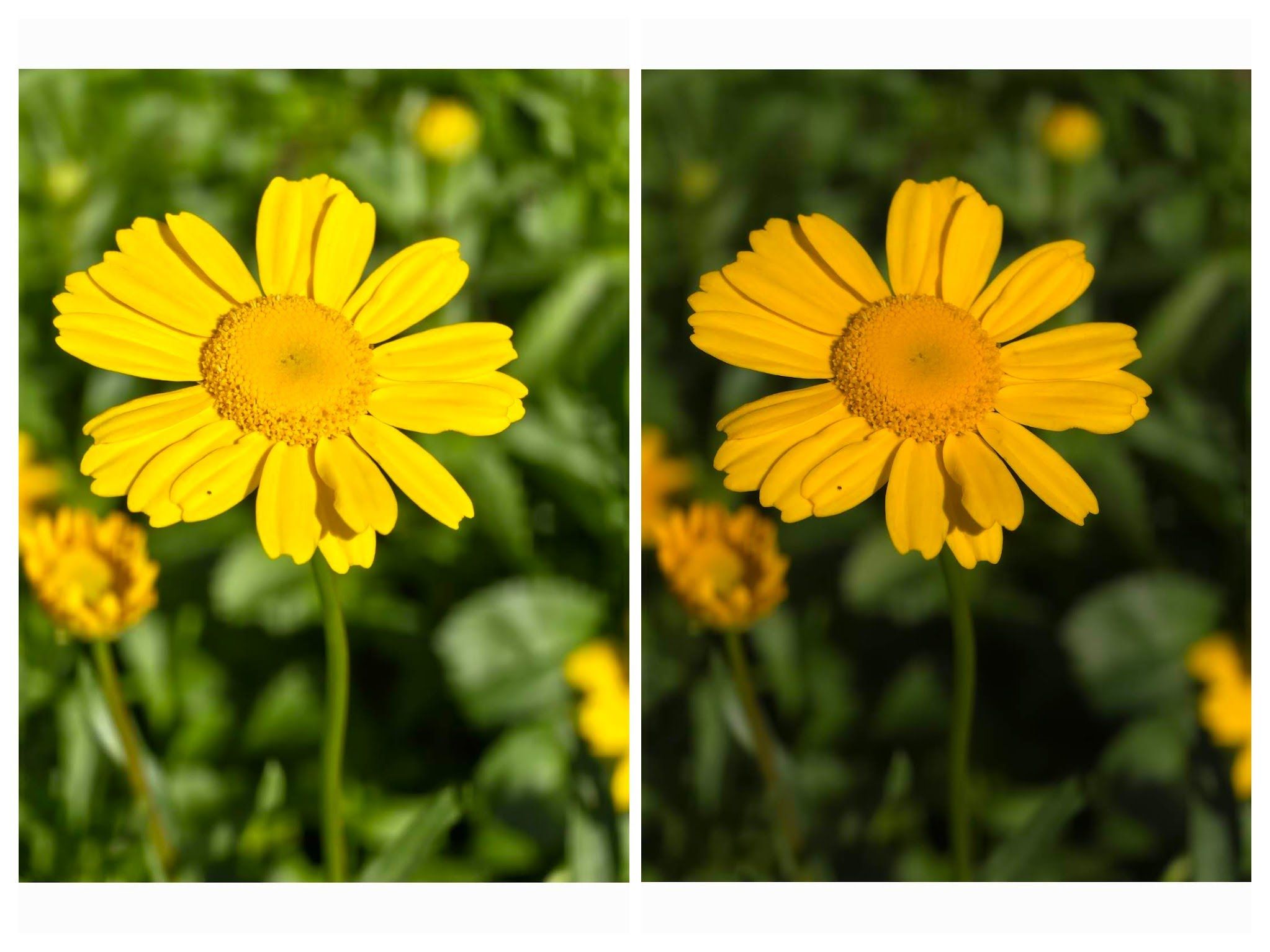 Solved: How to turn off Image post processing? - Samsung Community