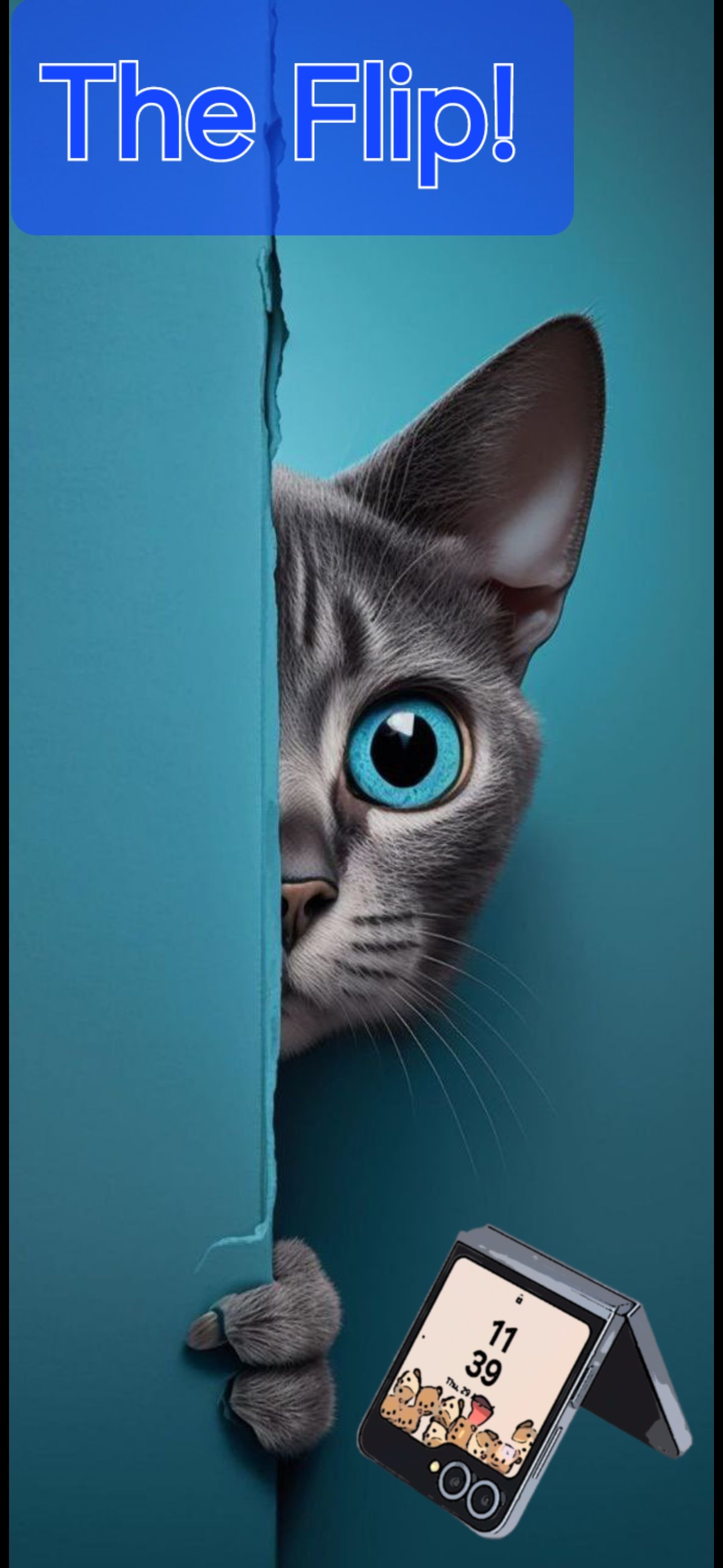 Introducing:- The Flip - Page 2 - Samsung Community