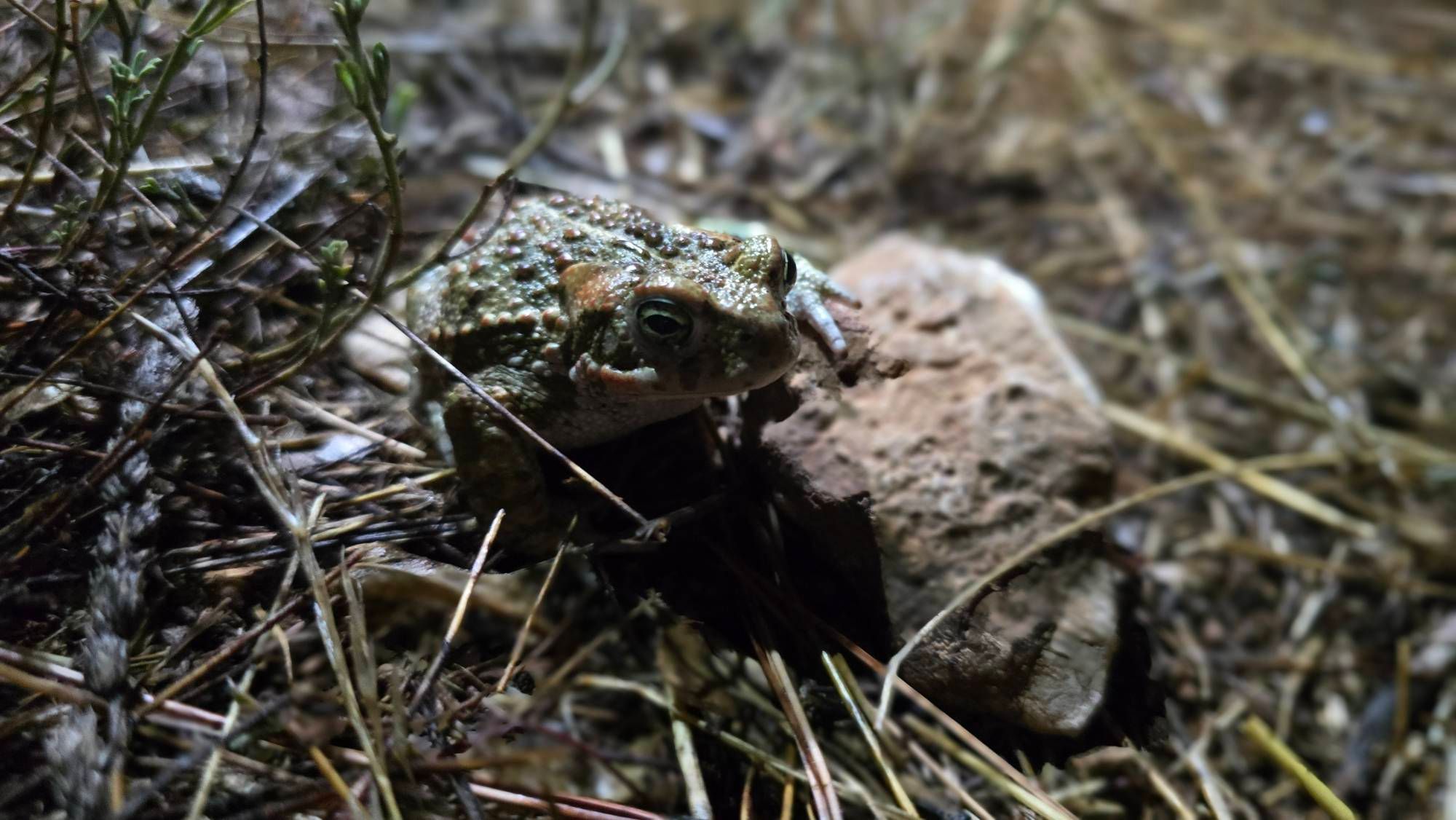 S24ultra - Samsung Community