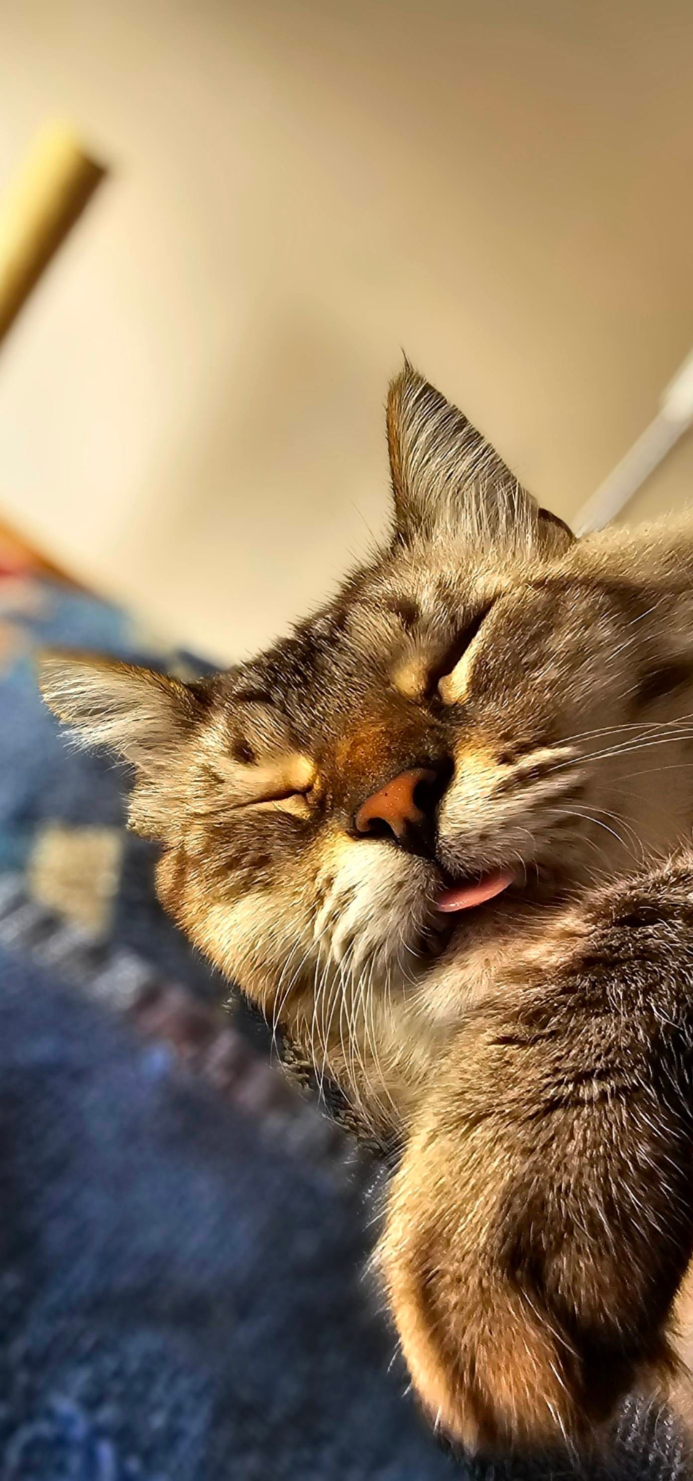 Félix - Samsung Community