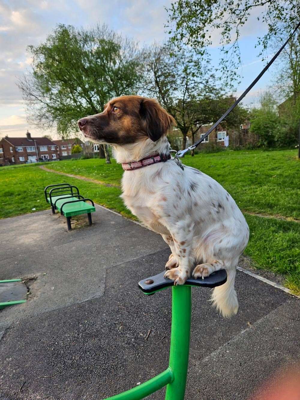 SIT! - Samsung Community