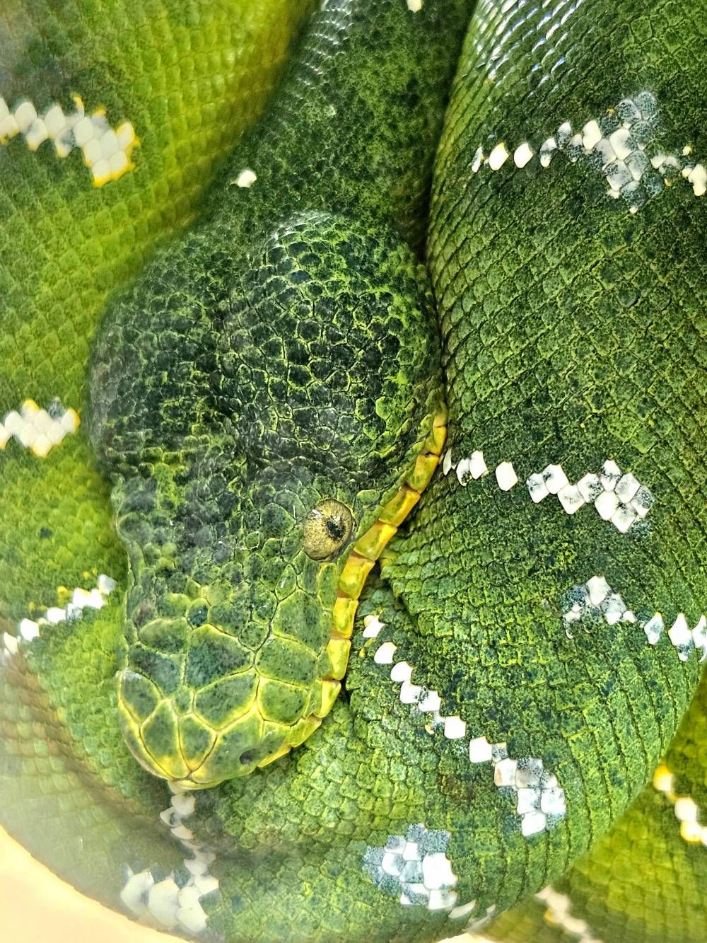 KAA - Samsung Community