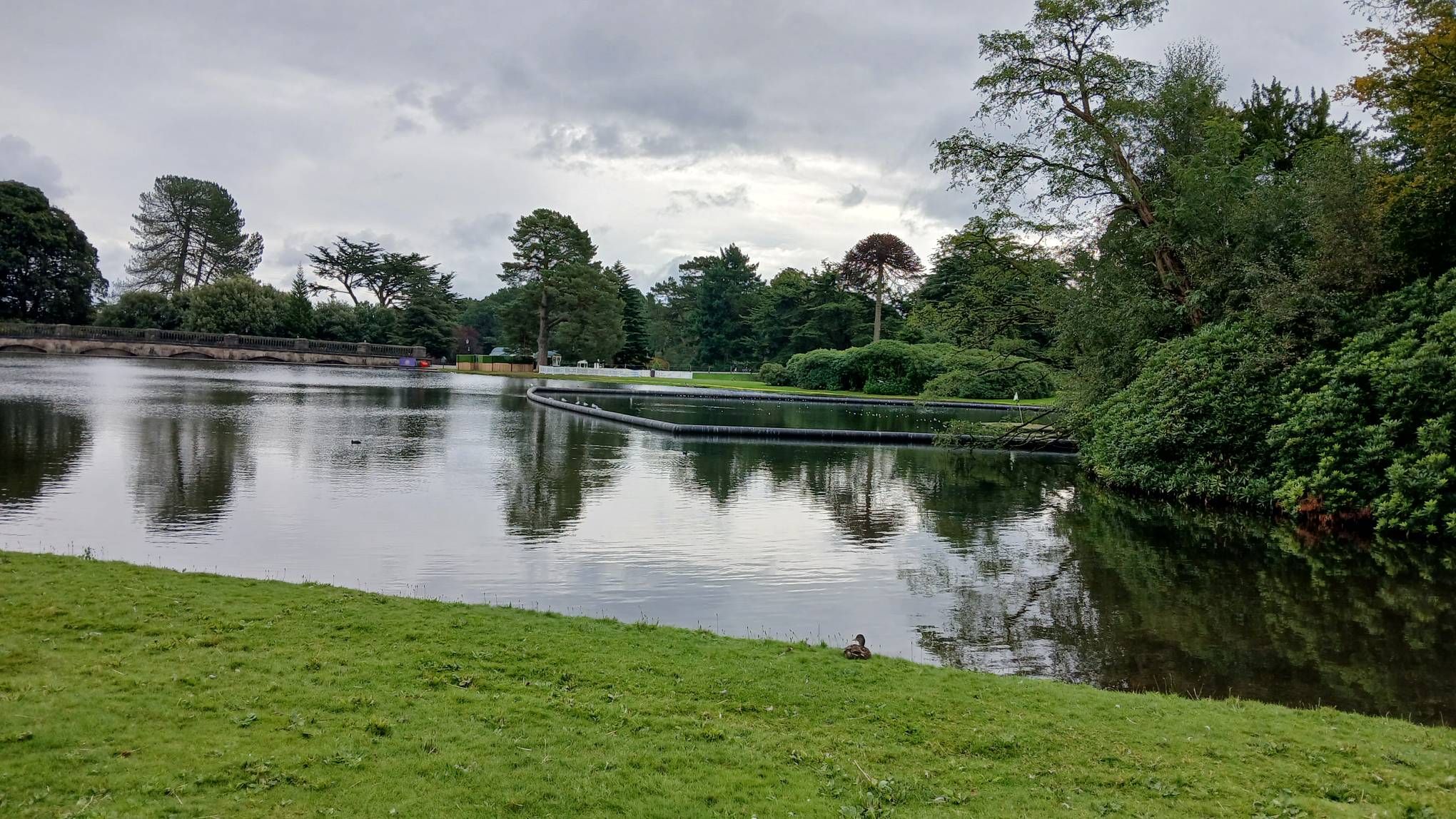 Cool vibey photos from alton towers -shot on samsung a15 - Samsung ...