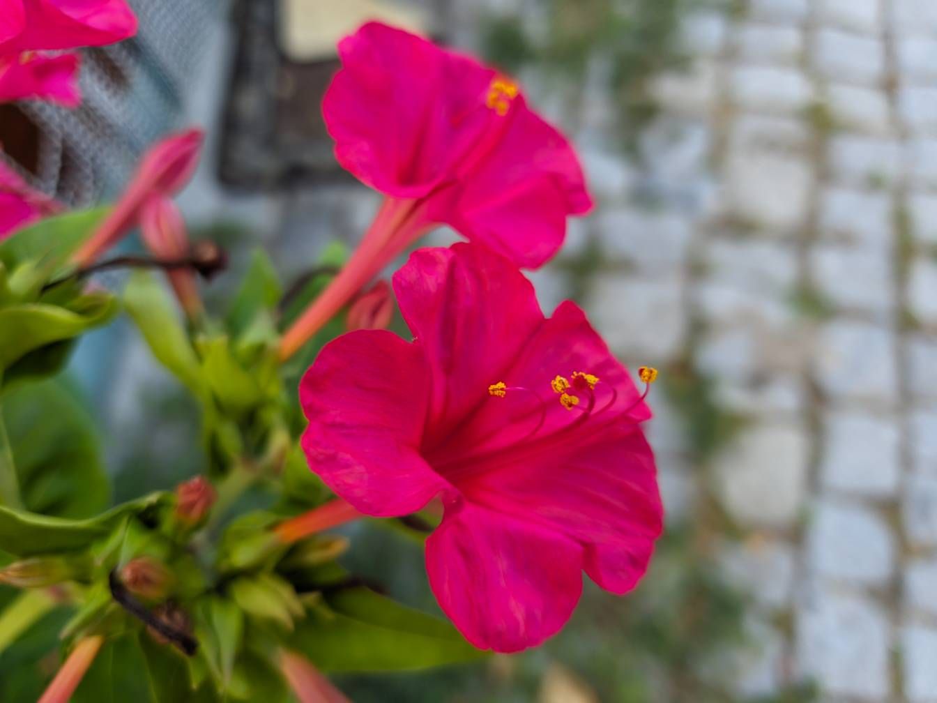 Momentos de cores vivas - Samsung Community