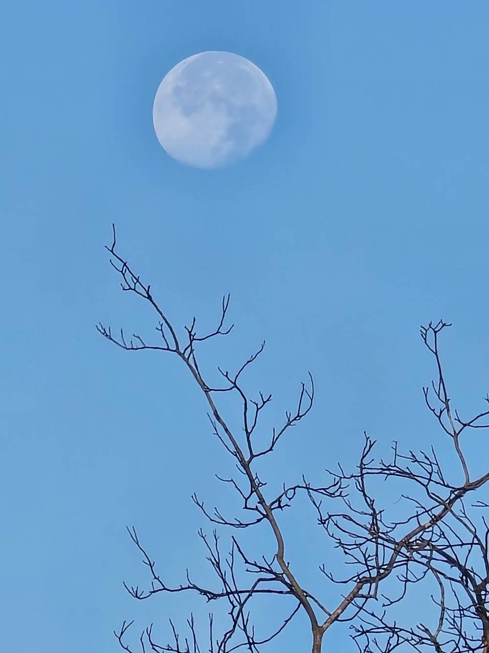 Morning moon shots - Samsung Community