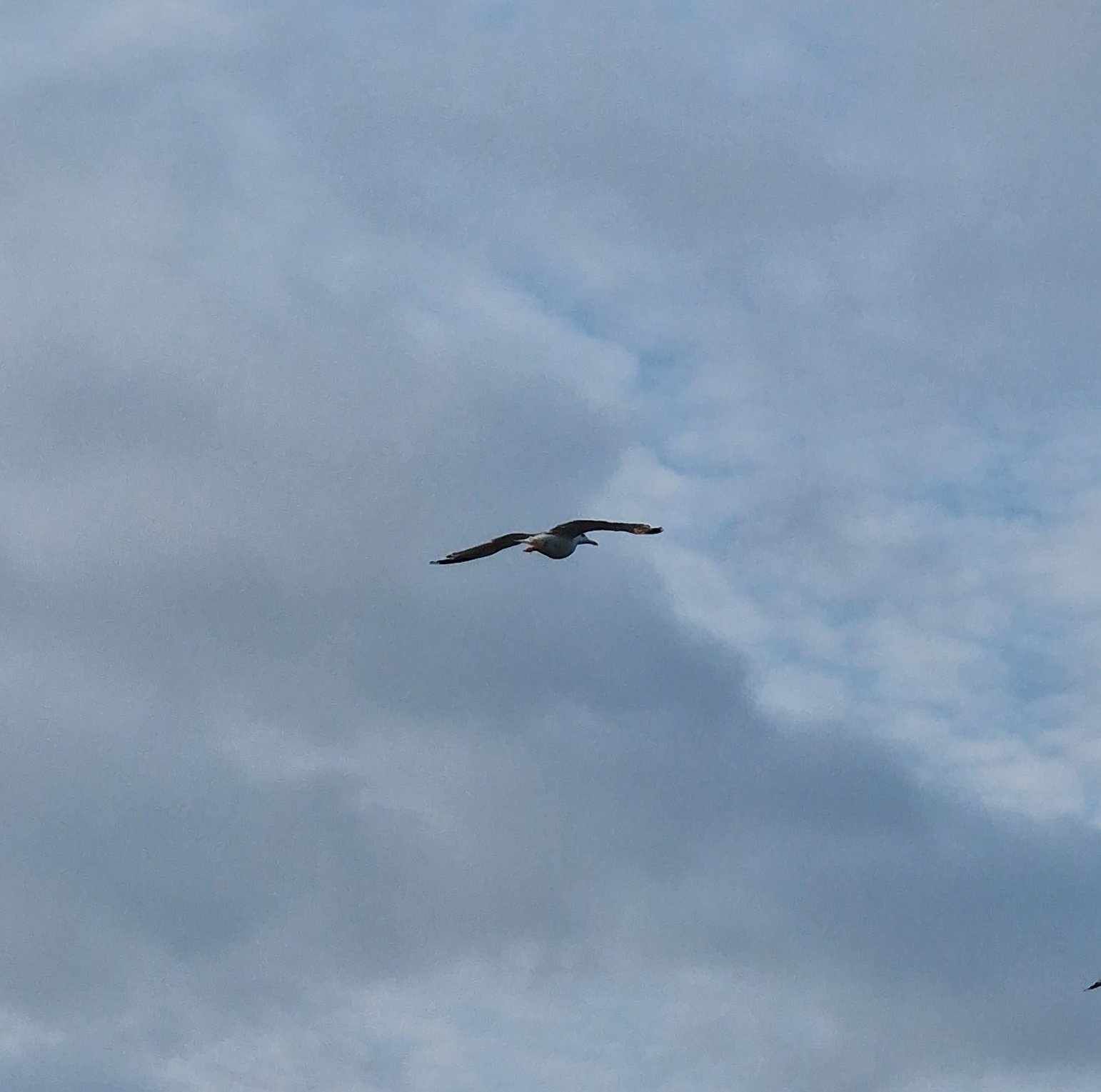 Putns. - Samsung Community