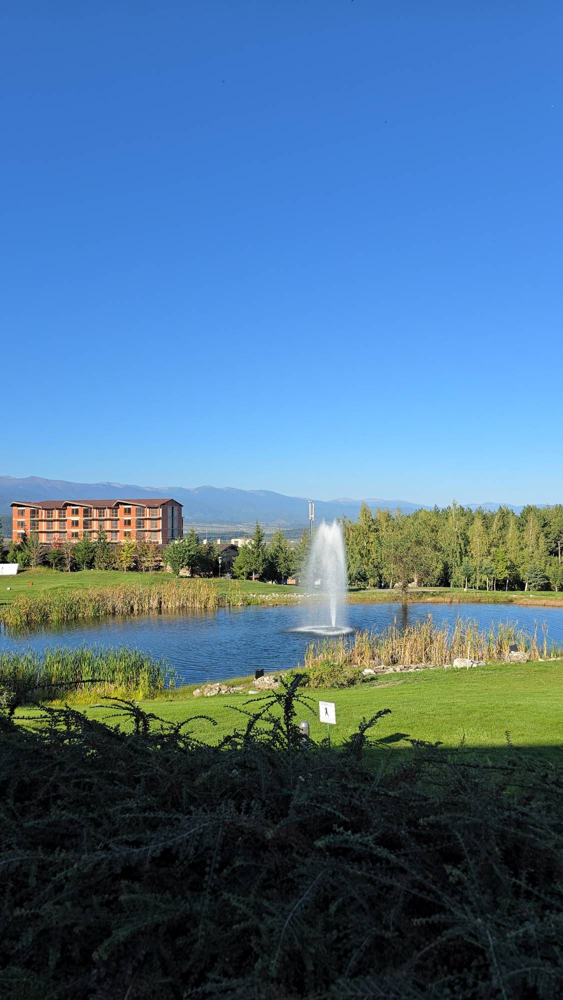 S24U photo Day - Samsung Community