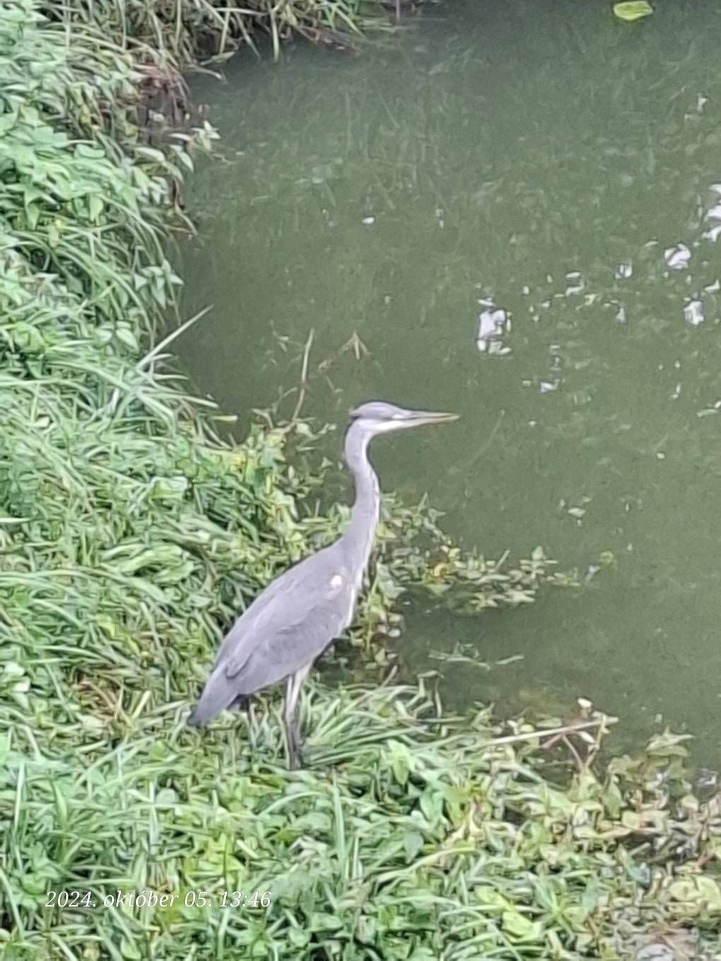 Tata - Samsung Community