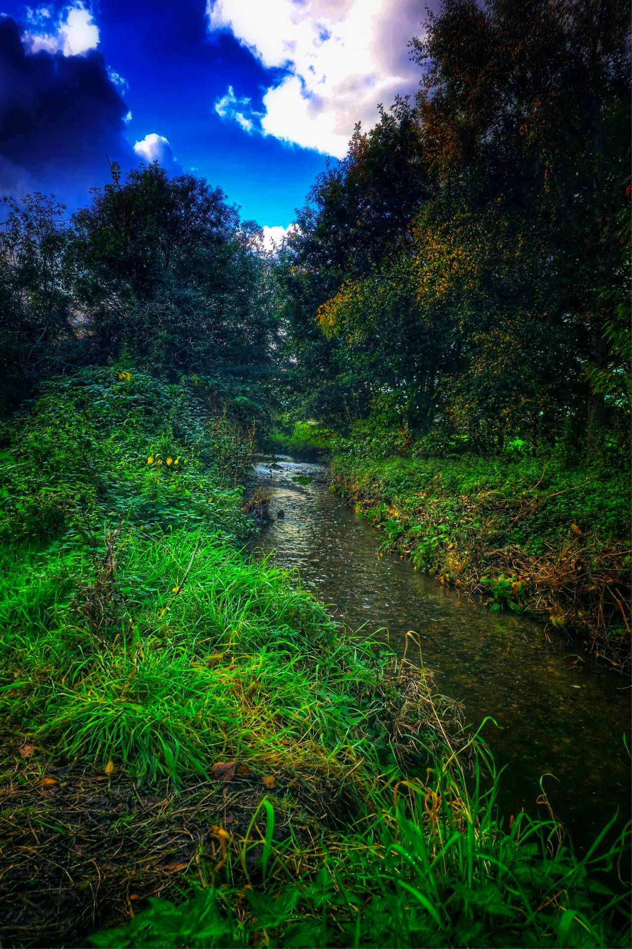 FLOW - Samsung Community