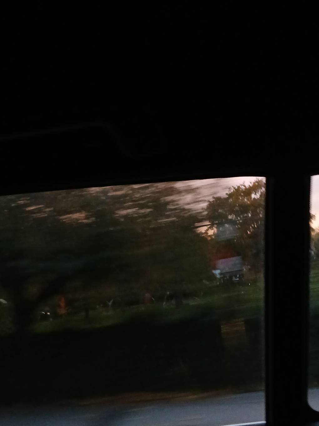 trees - Samsung Community