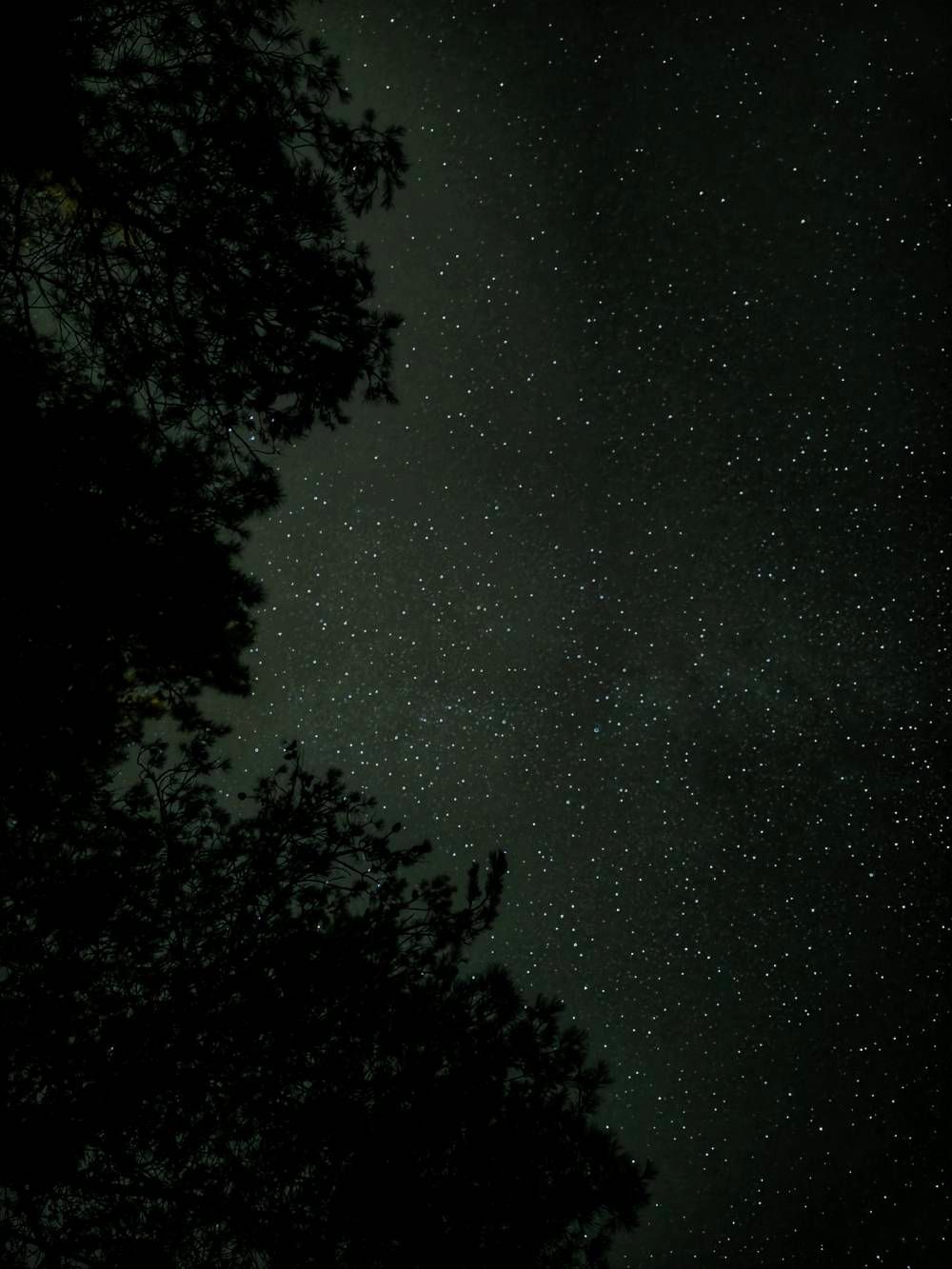 Nightography - Samsung Community