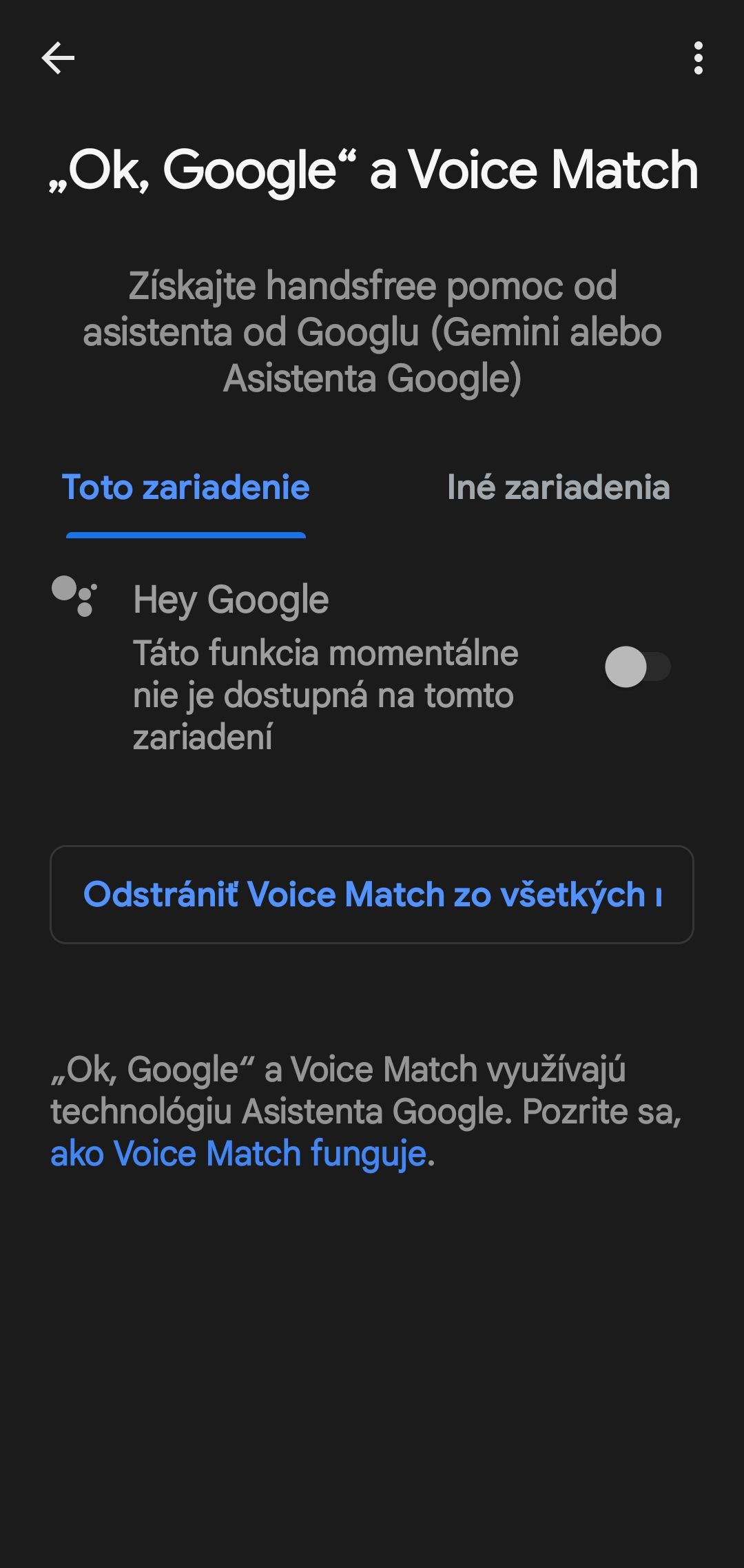 Hey Google - Samsung Community