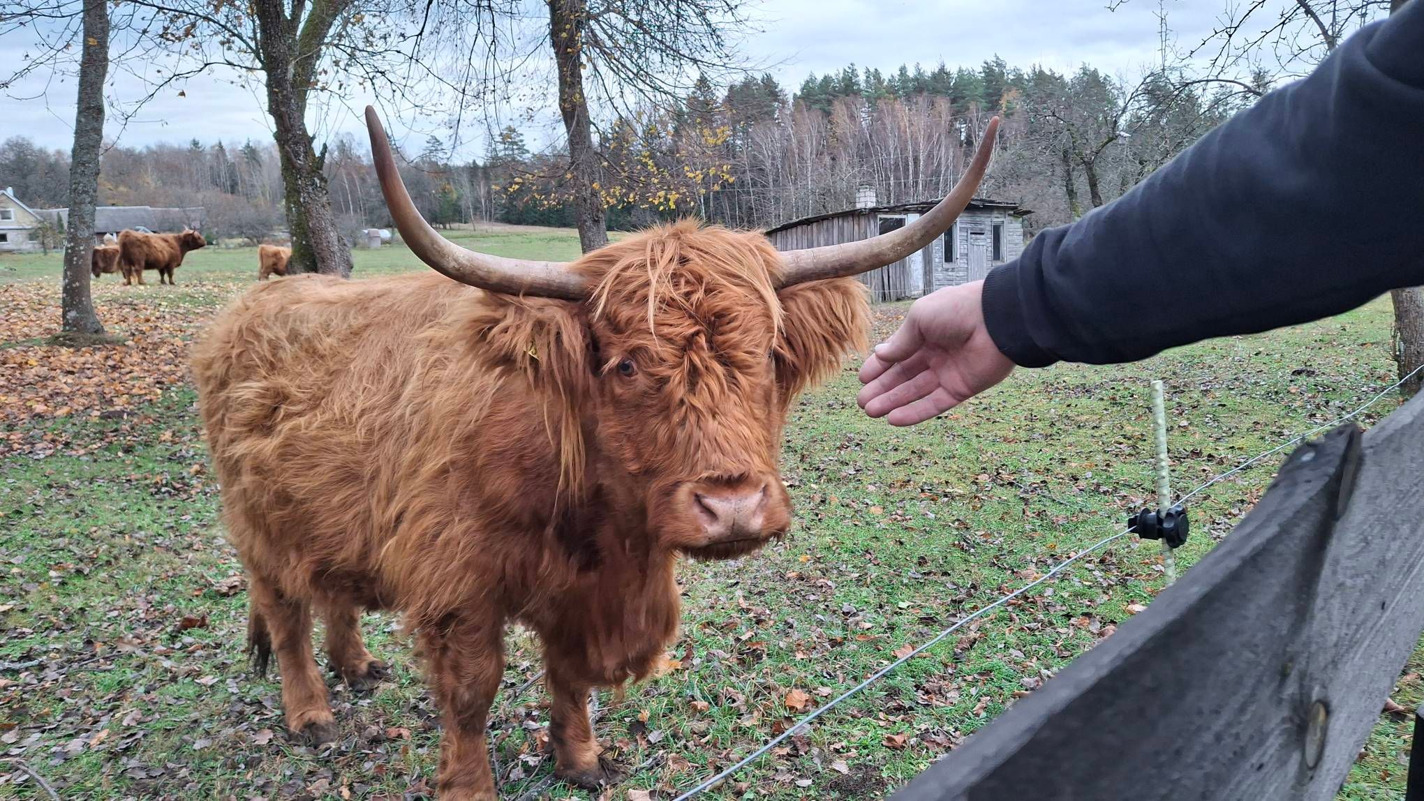 Jautis - Samsung Community