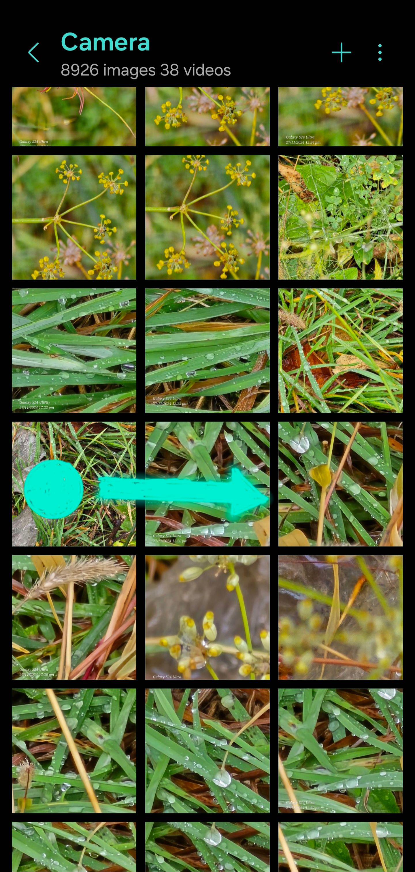 Solved: How to switch from 3 column pictures in gallery back to 2 ...