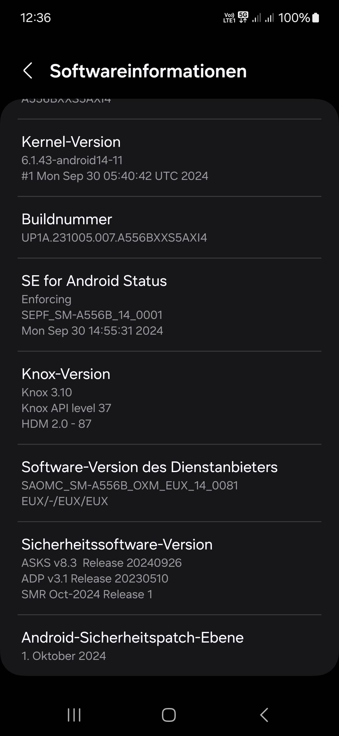 Samsung Galaxy A55 5 G Hinweis: mtl. Updates und Support bis 2029 ...