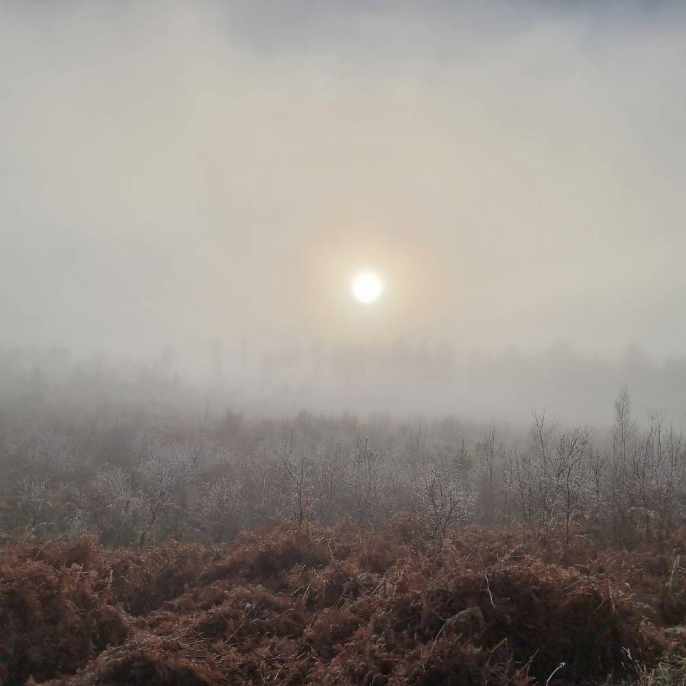 Scottish fog - Samsung Community