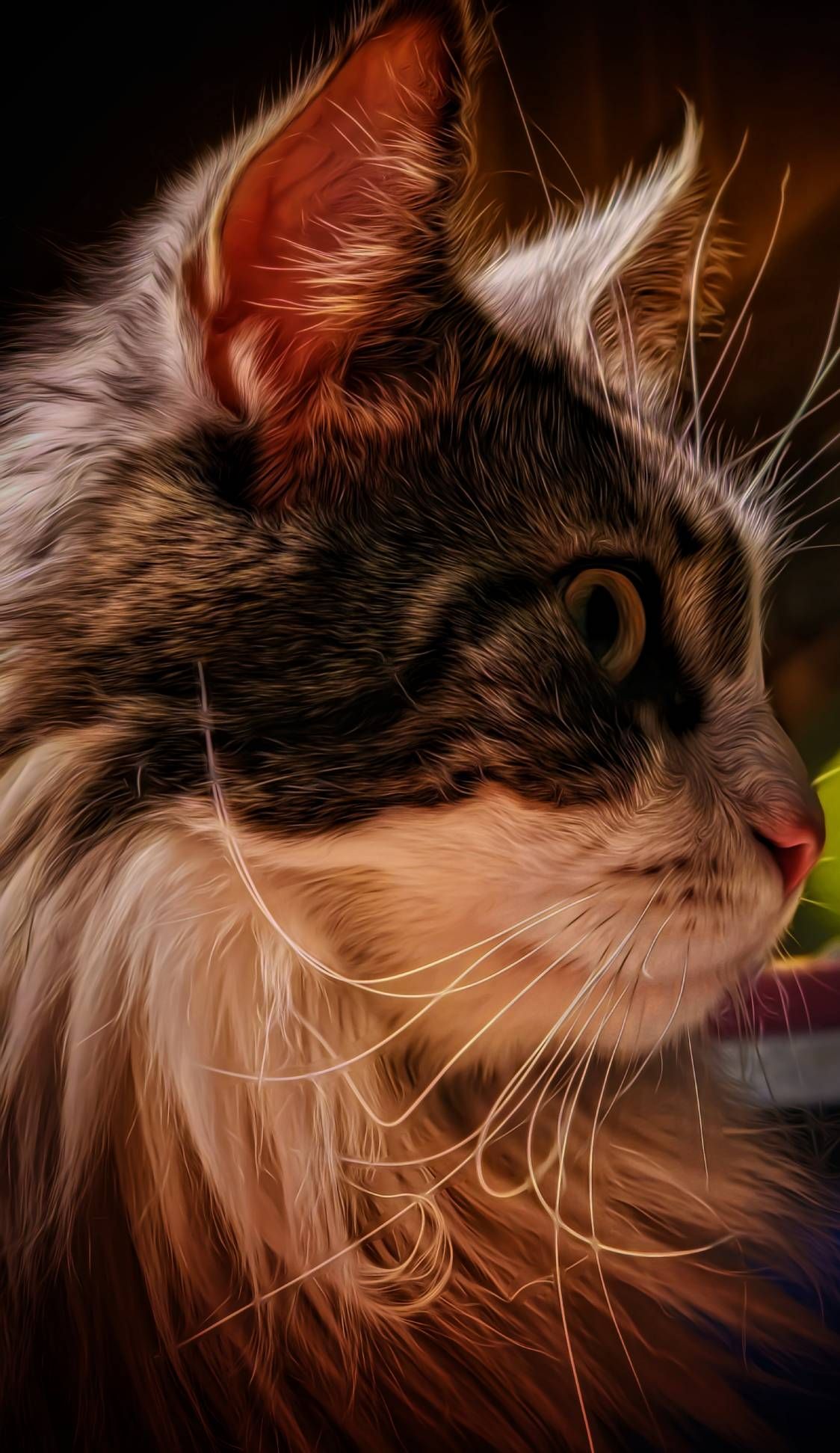 Falco wünscht euch allen eine gute Nacht. ♥️ - Samsung Community