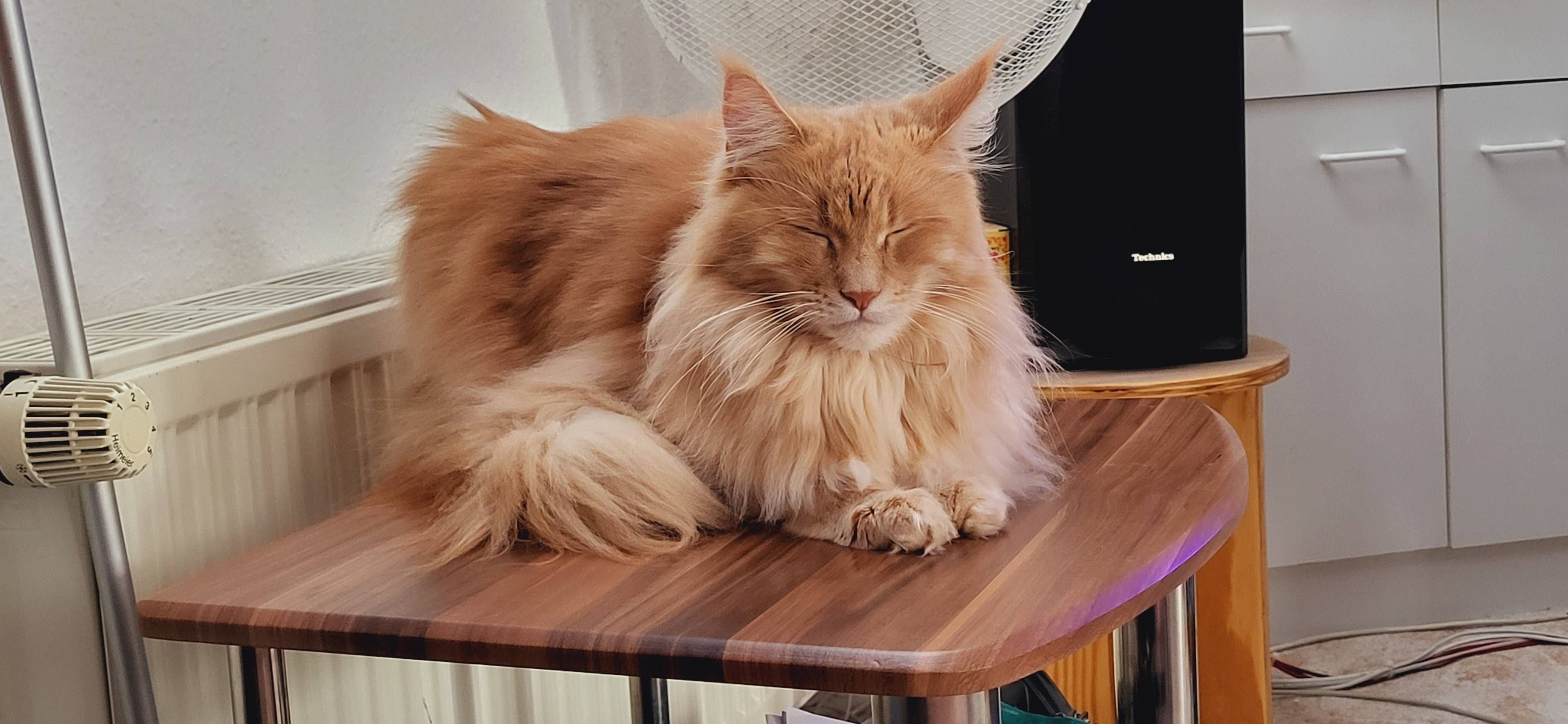 Schlafen ist doch schön... - Samsung Community