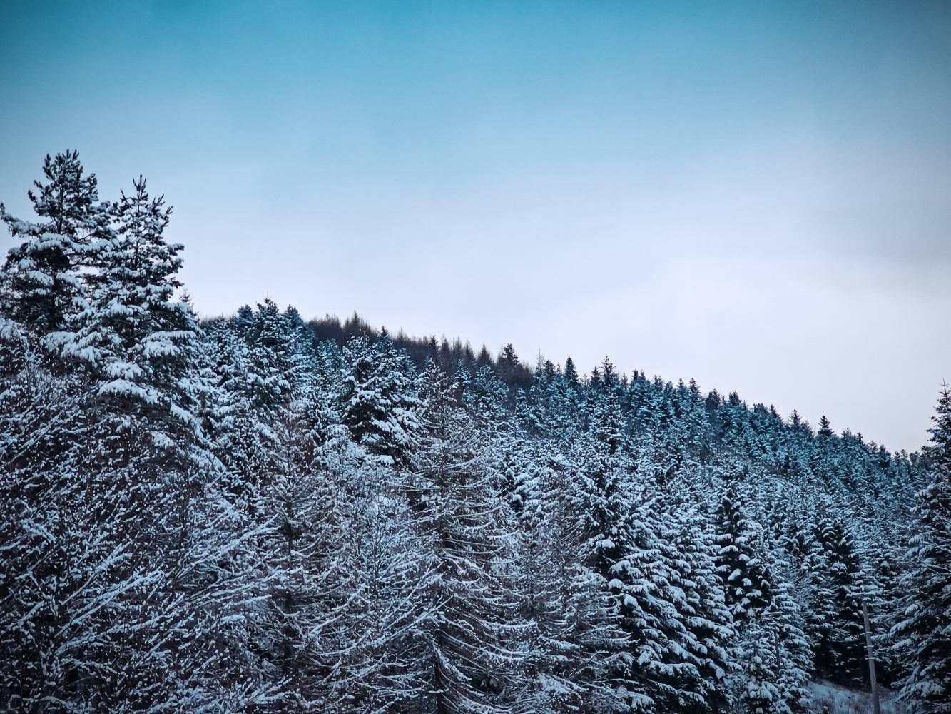 Samsung zima - Samsung Community