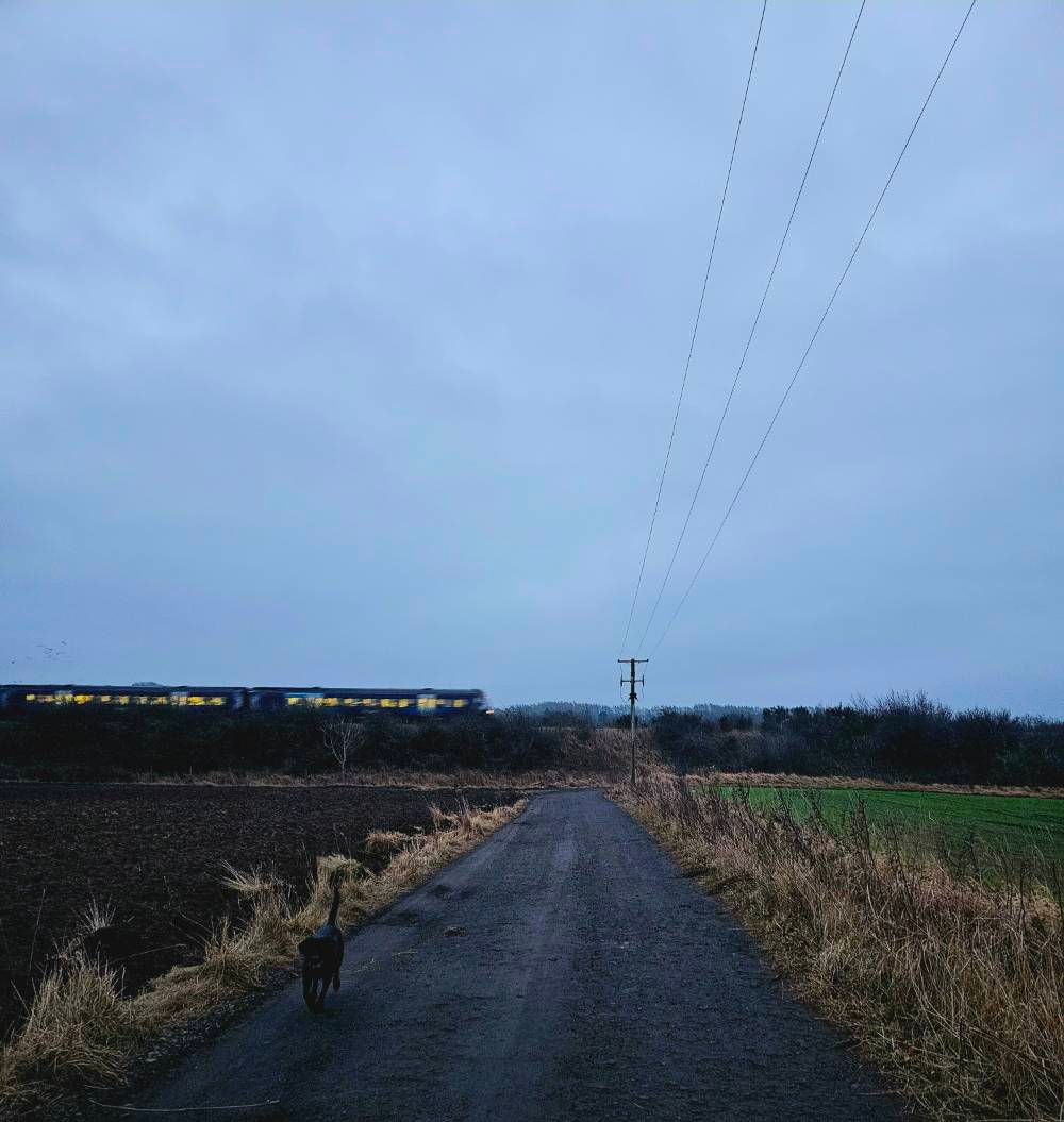 Dog & a train - Samsung Community