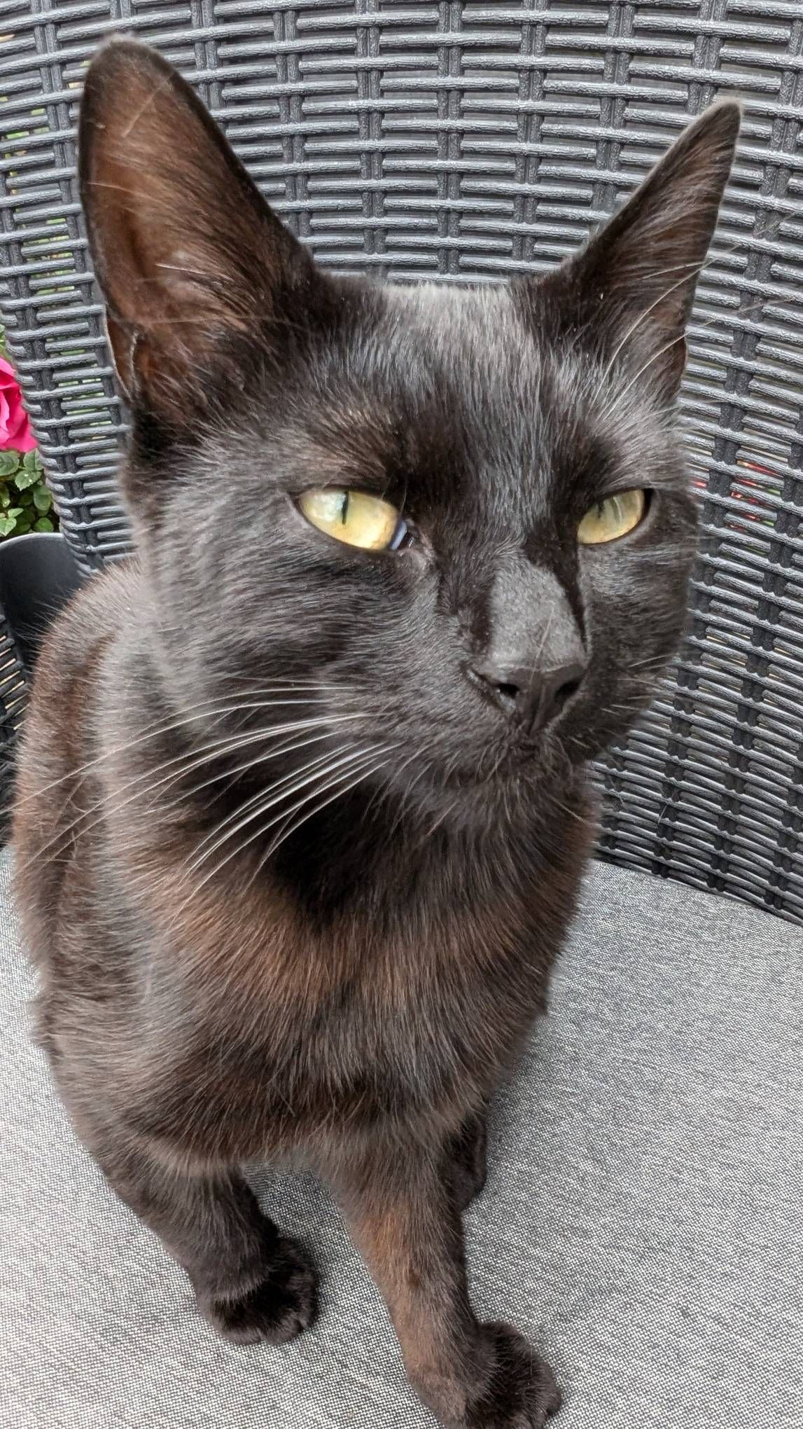 Friendly rivalry between friends! - Page 2 - Samsung Community