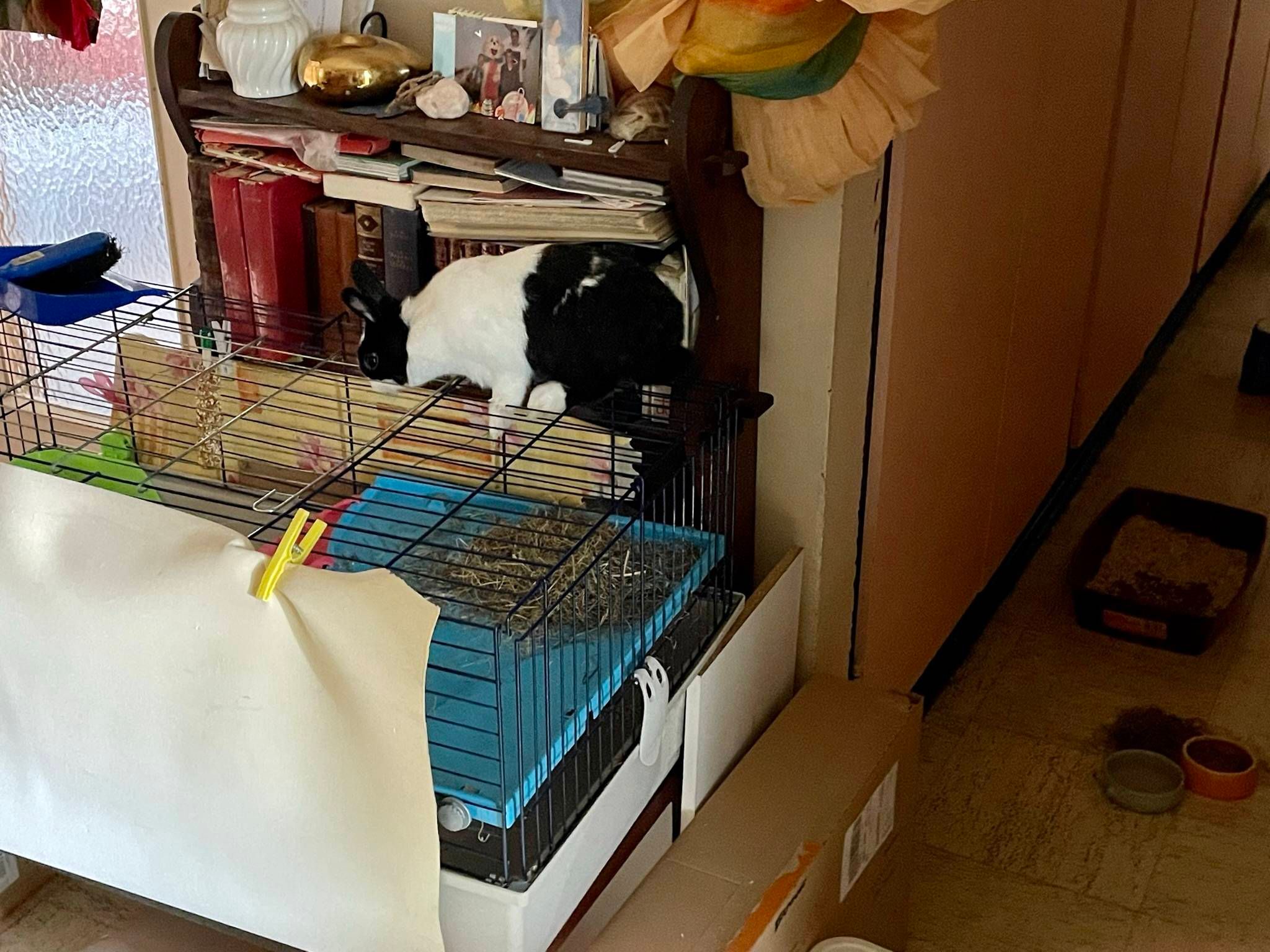 Le dimanche c'est repos 😉 - Samsung Community