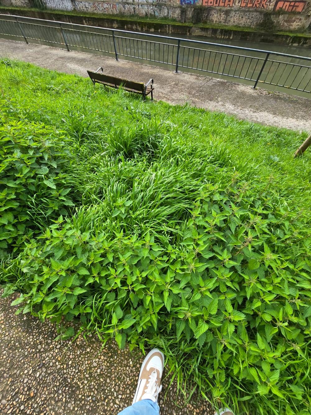 Hermoso 10 y 30x - Samsung Community