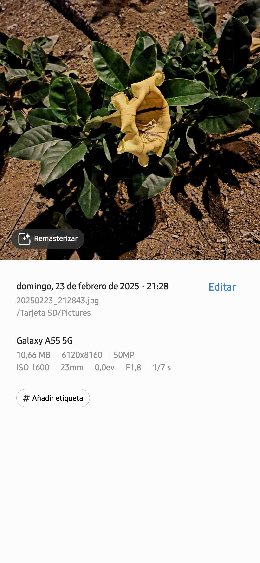 A55 5G 🇮🇨 Cámara 📷 Objetivo Normal 50 Mpx. Original&Natural. - Samsung ...