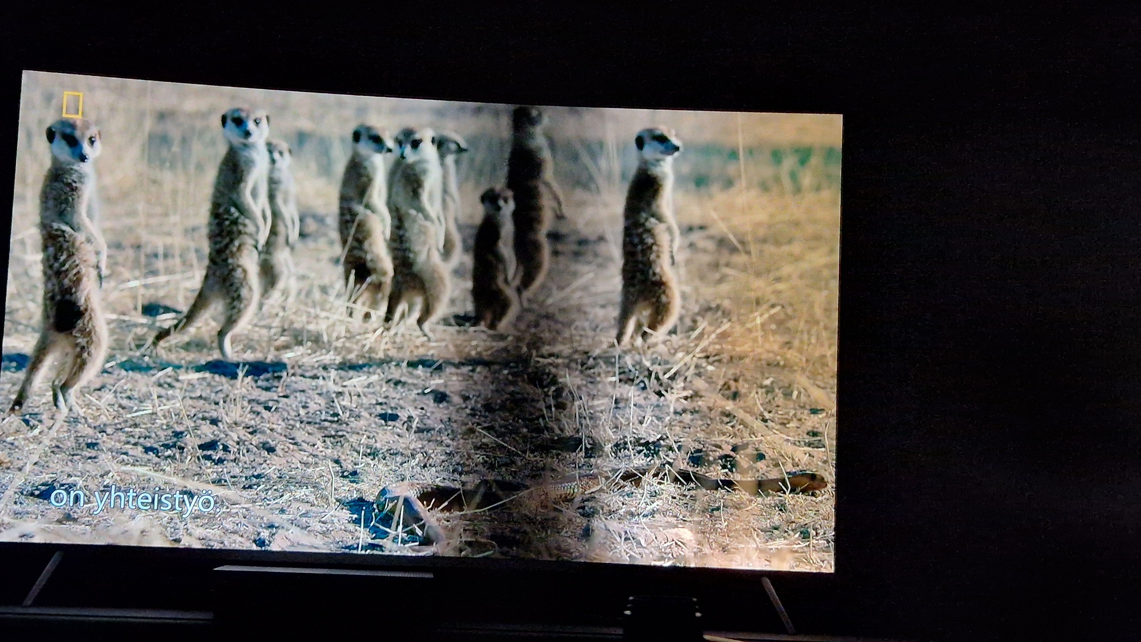 TV Frame issue or display - Samsung Community
