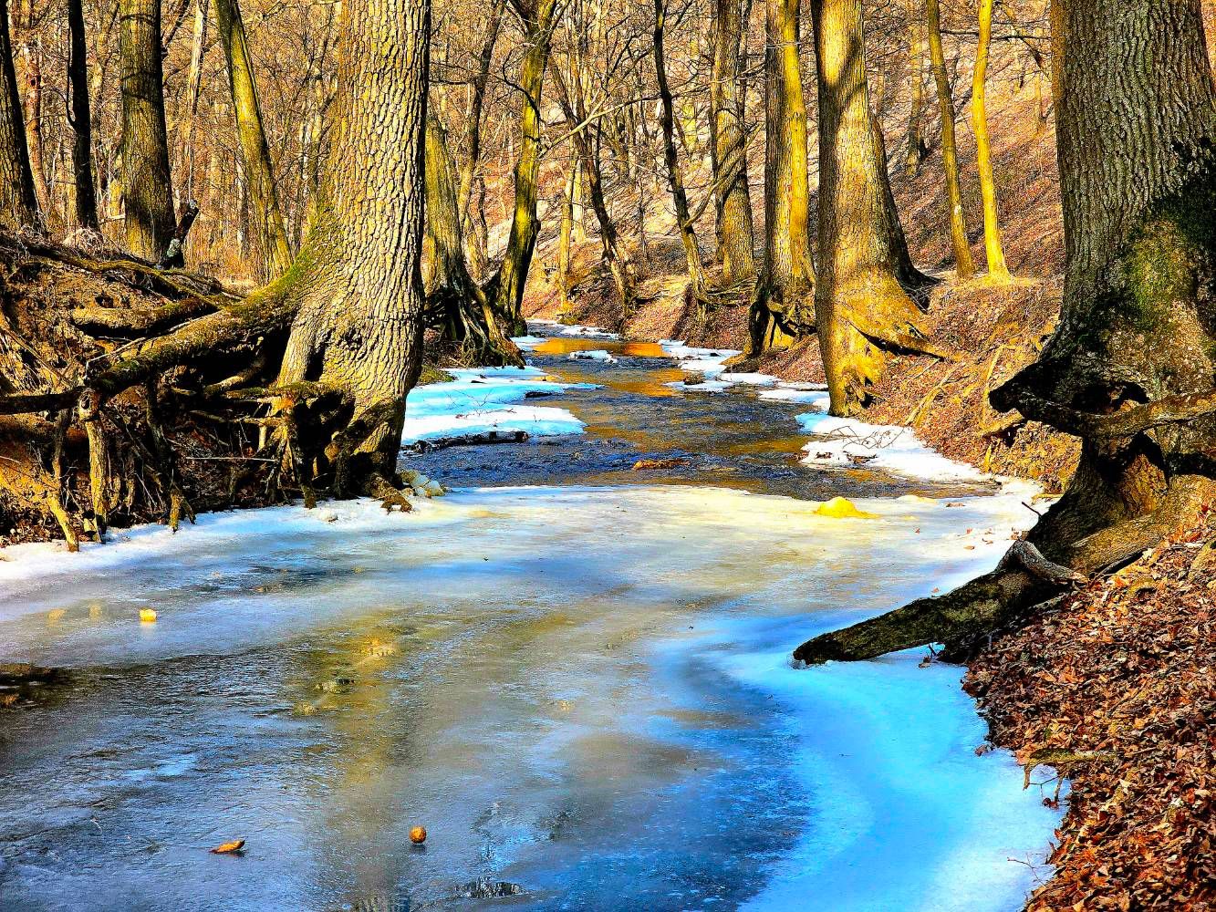 Gaja-patak - Samsung Community