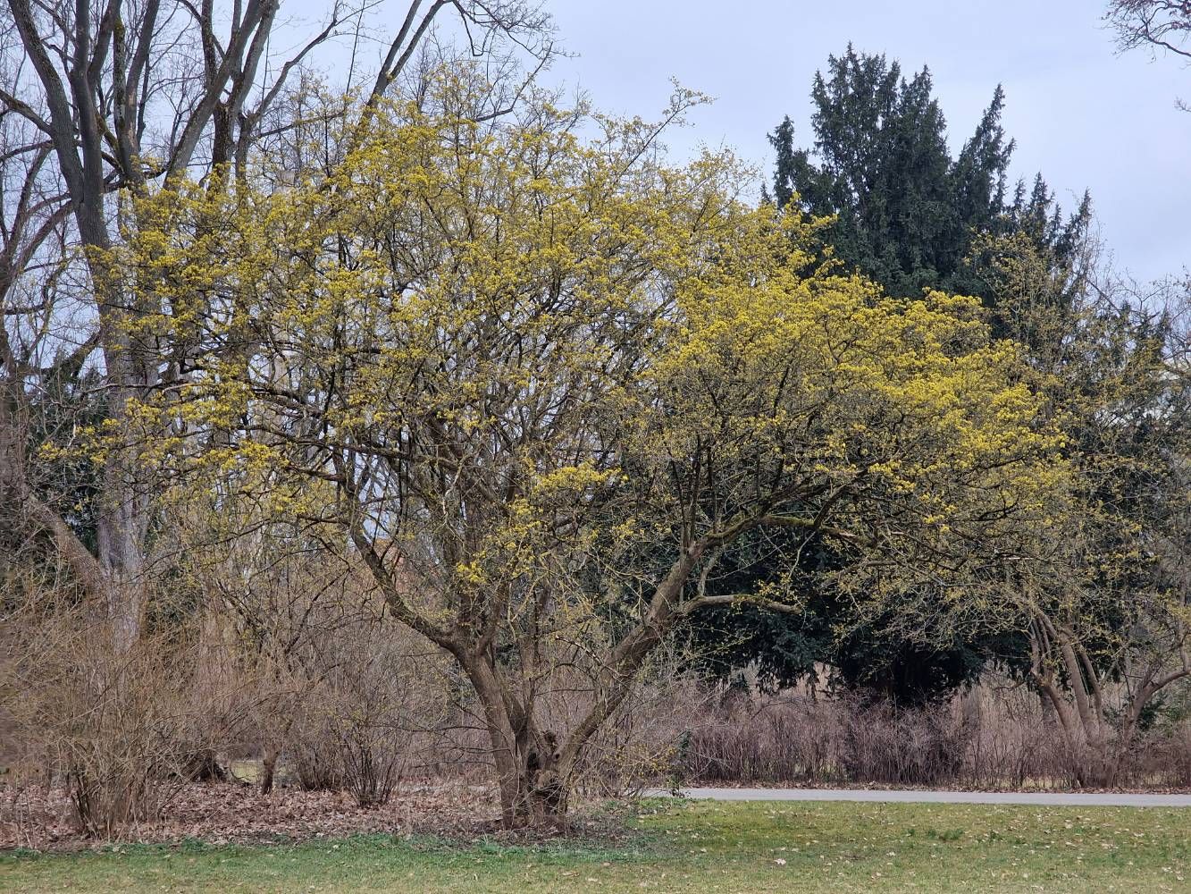 Langsam... - Samsung Community