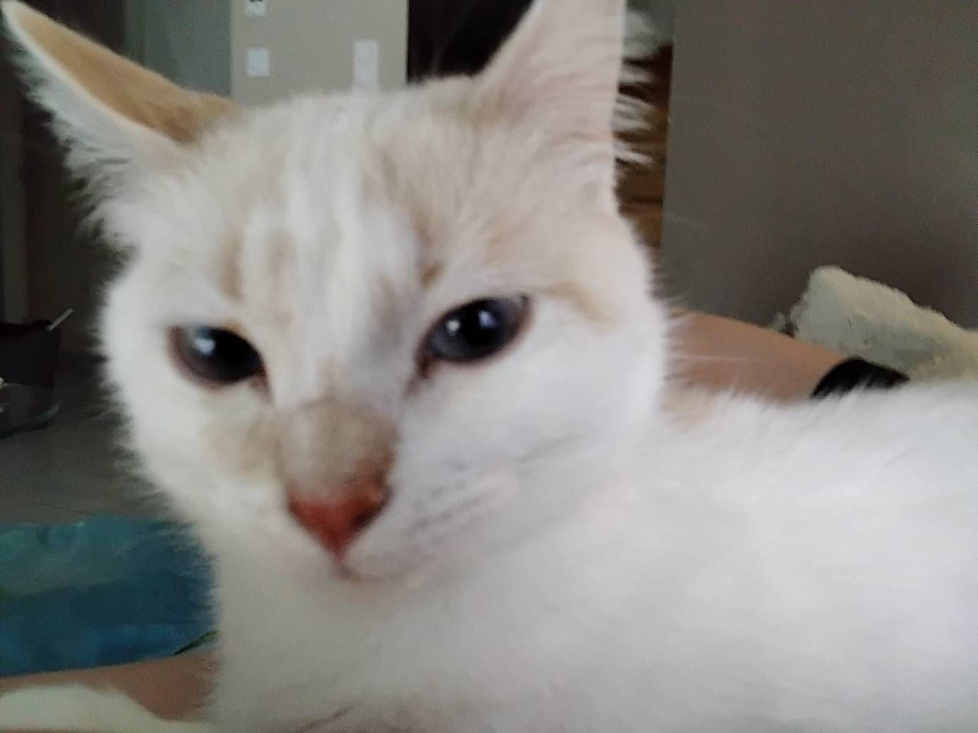 Dimanche - Samsung Community