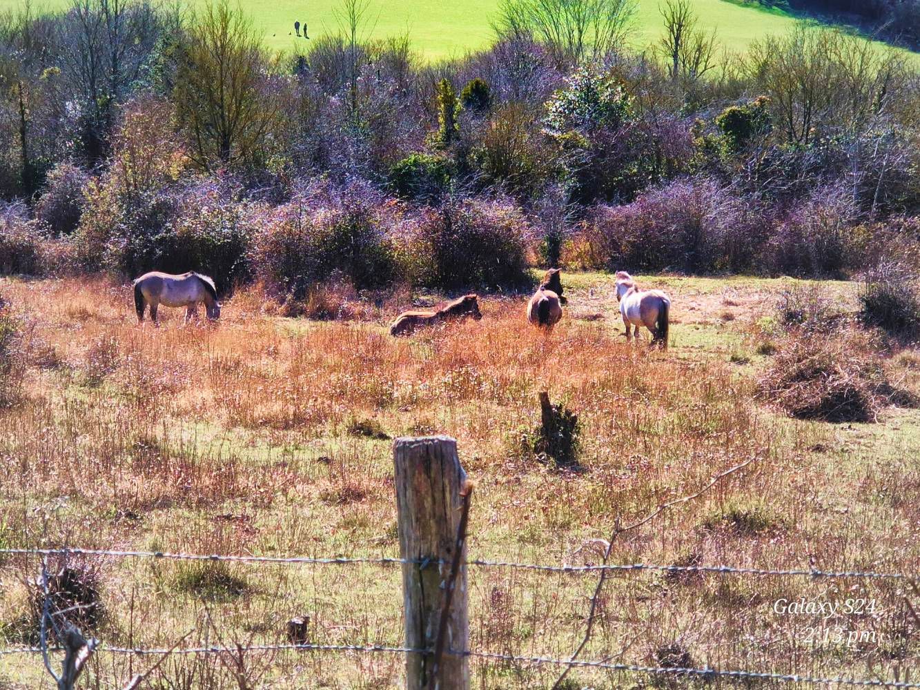Blue skies but cold - Samsung Community