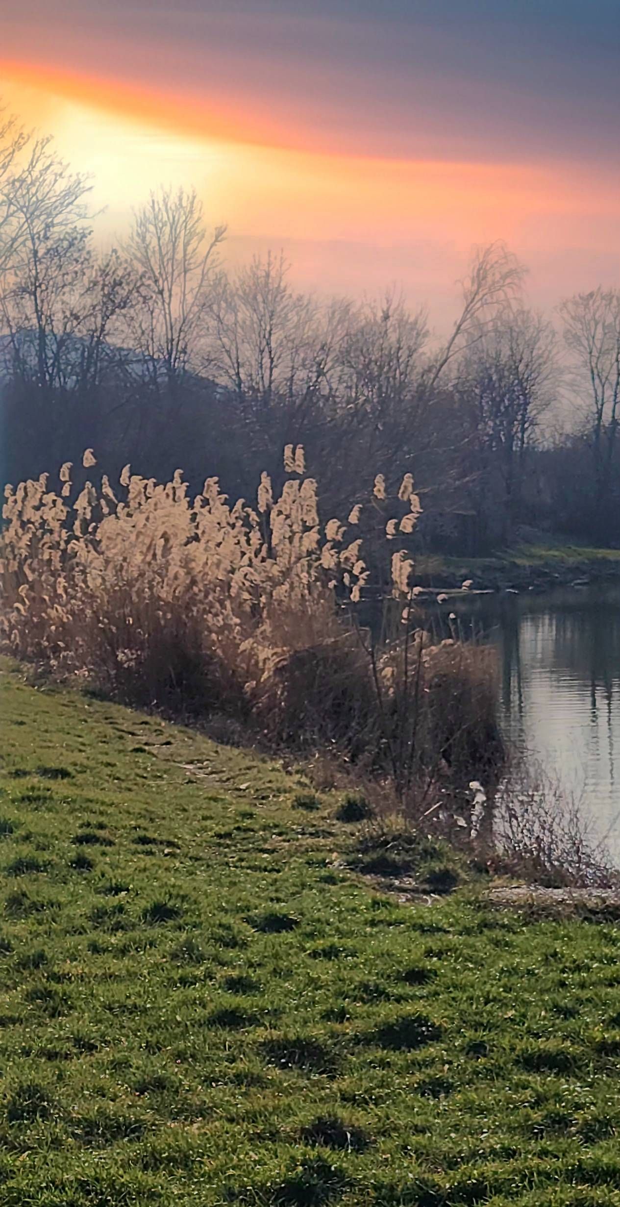 Večer pri vode🐕 - Samsung Community