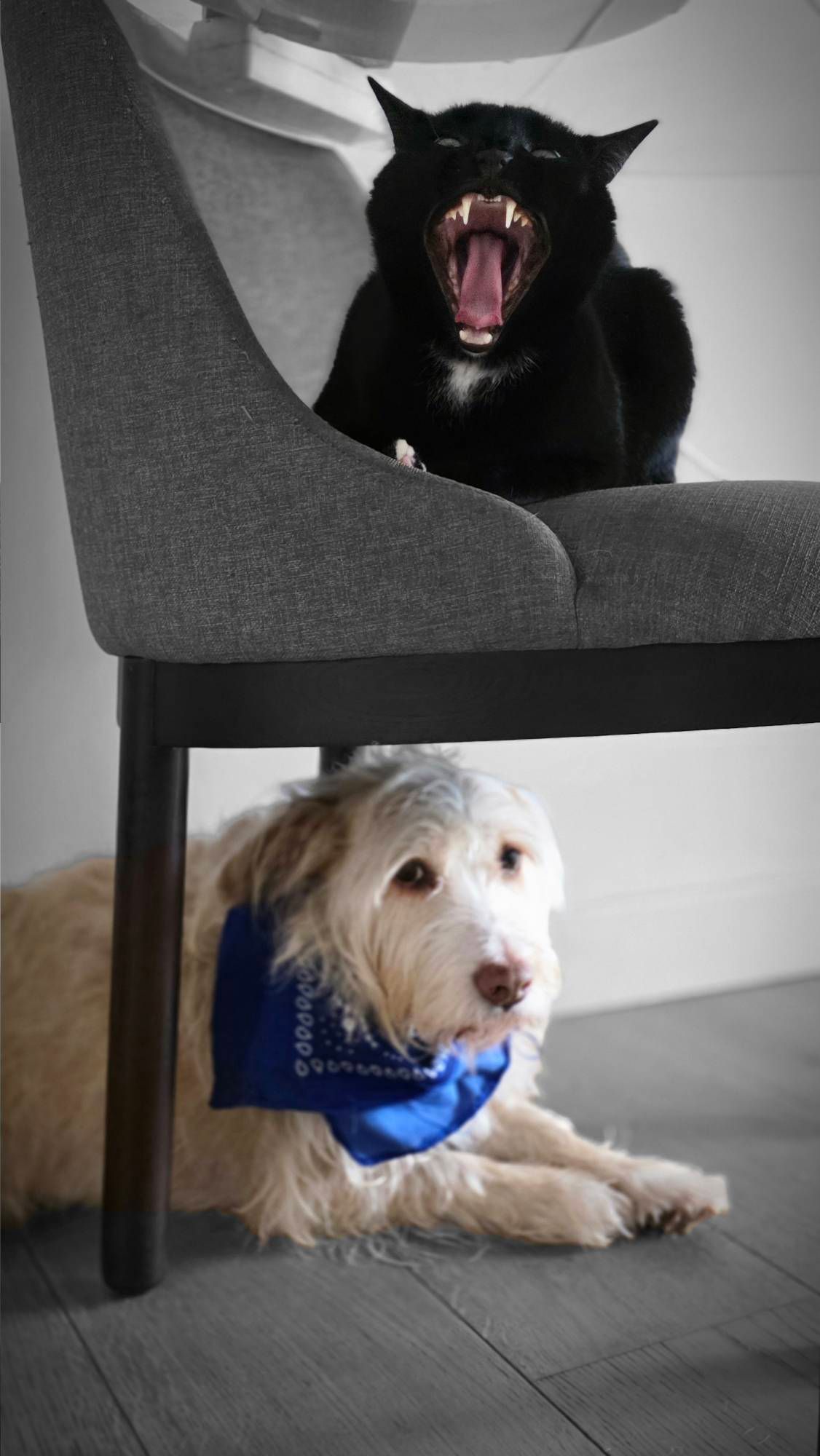 Gatio & taxi - Samsung Community