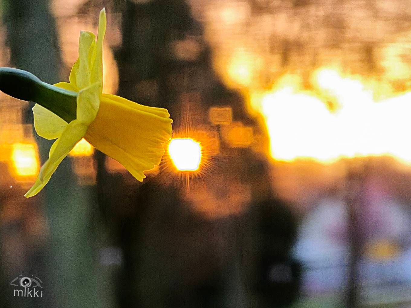 Spotlight - Samsung Community