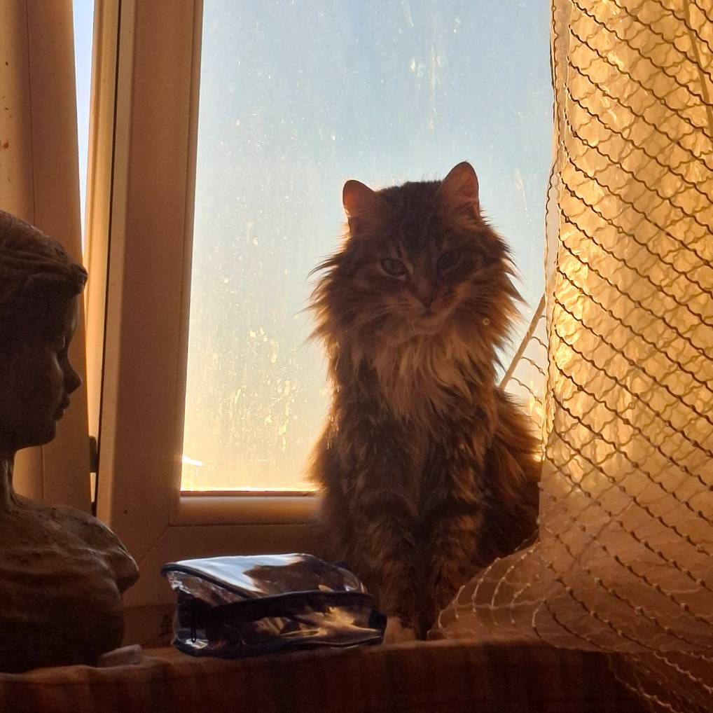 katukas - Samsung Community