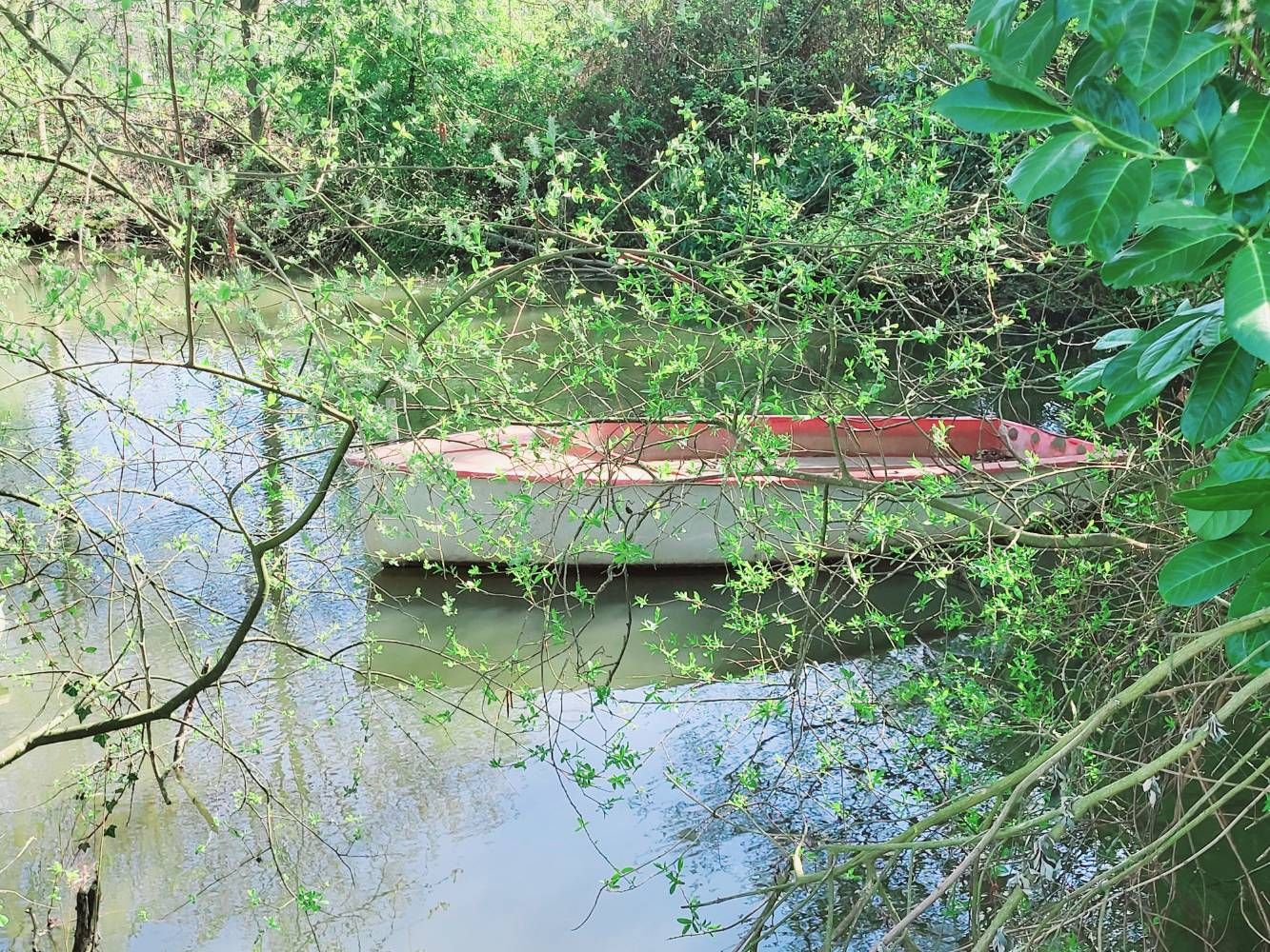 The boat... - Samsung Community