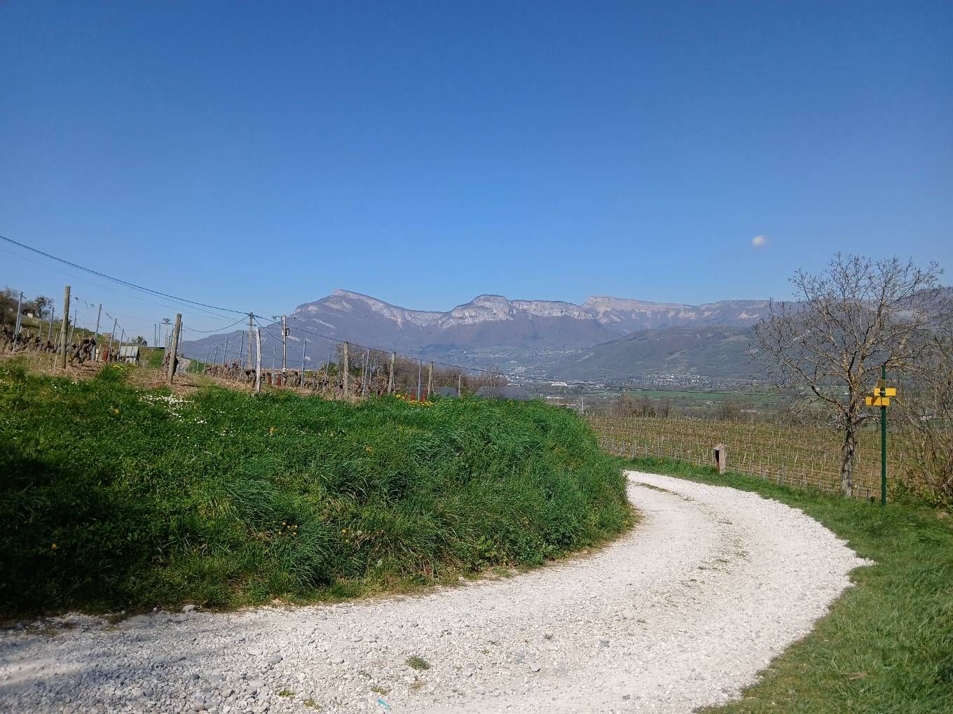 Promenade du dimanche 6 Avril 2025 : - Samsung Community