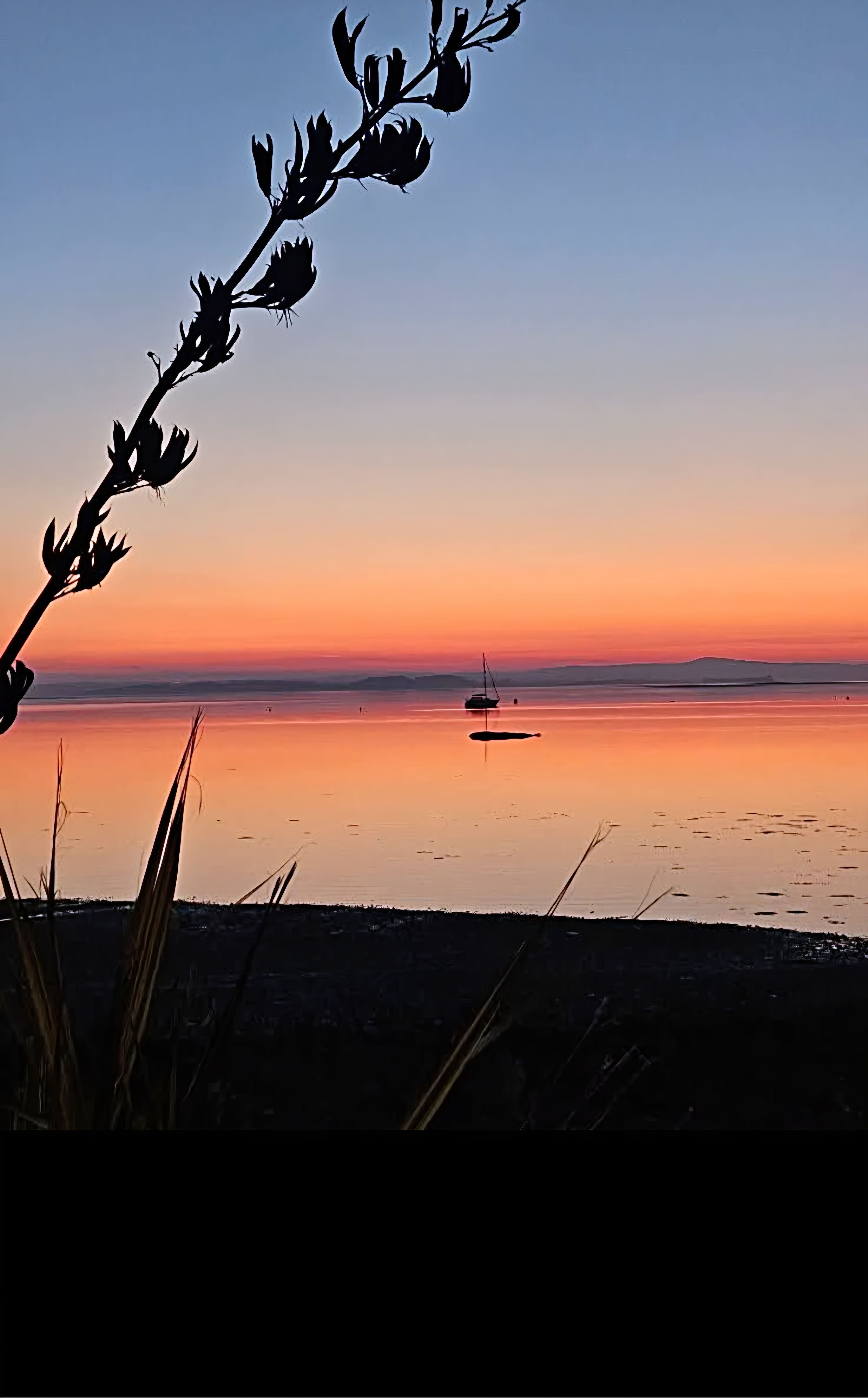 Calm - Samsung Community