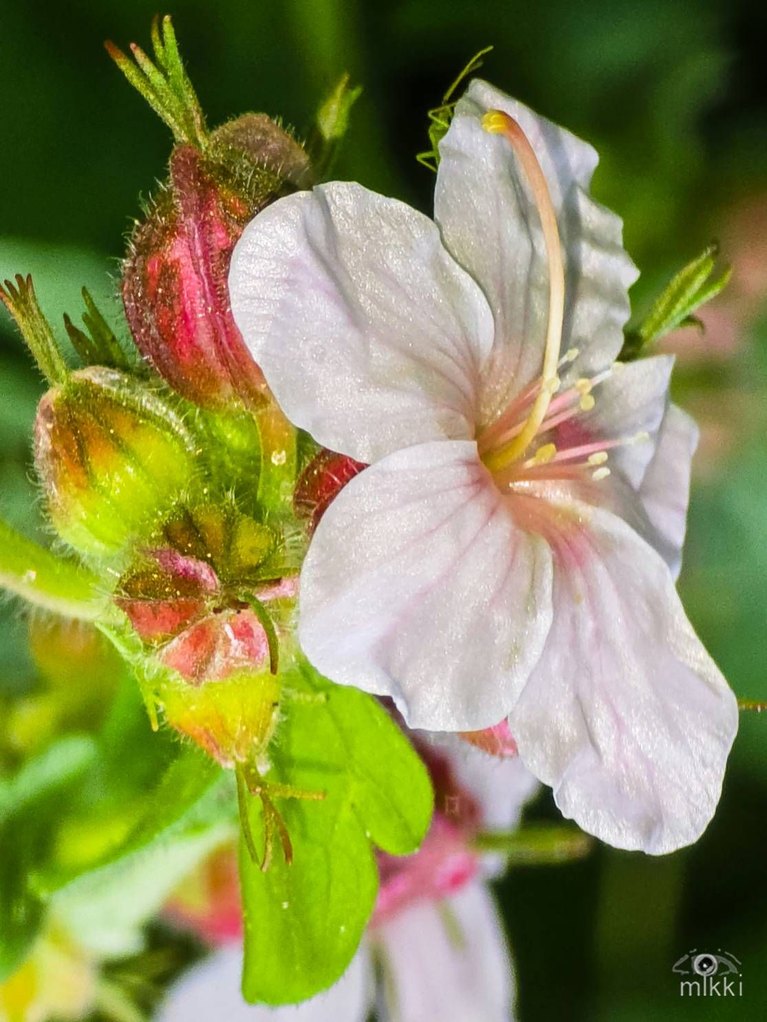 Alien.....................................................👇 - Samsung ...