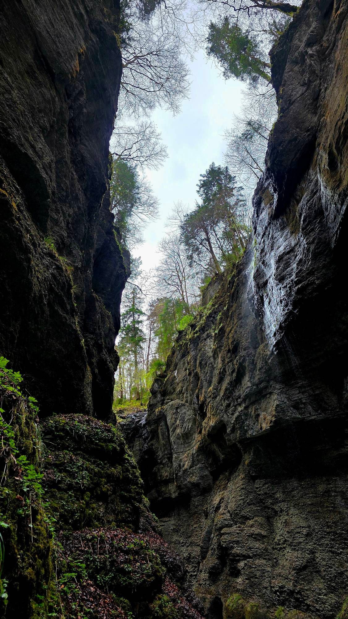 Gorgeous Gorge - Samsung Community