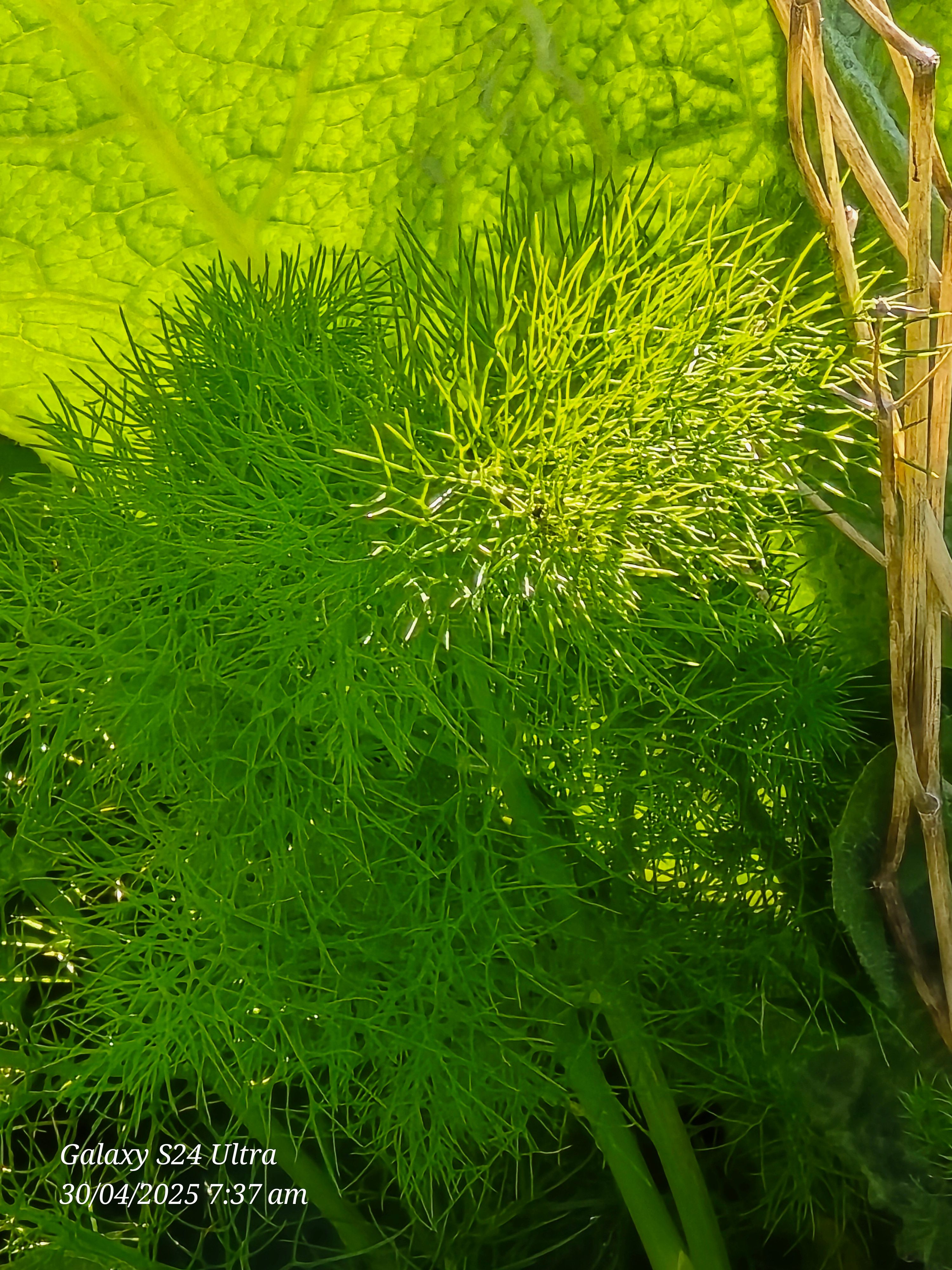 30x zoom - Samsung Community