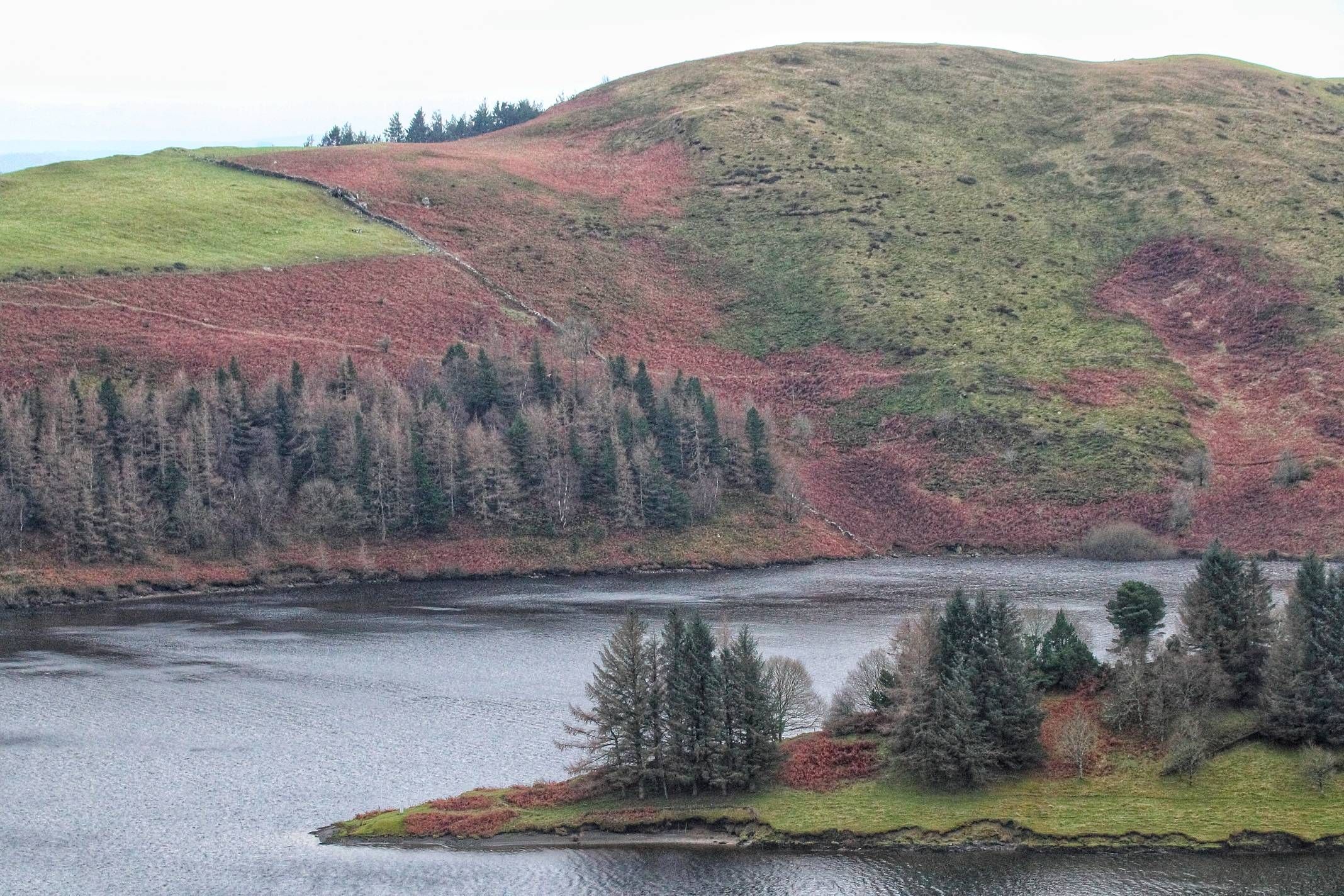 Llym Clywedog - Samsung Community