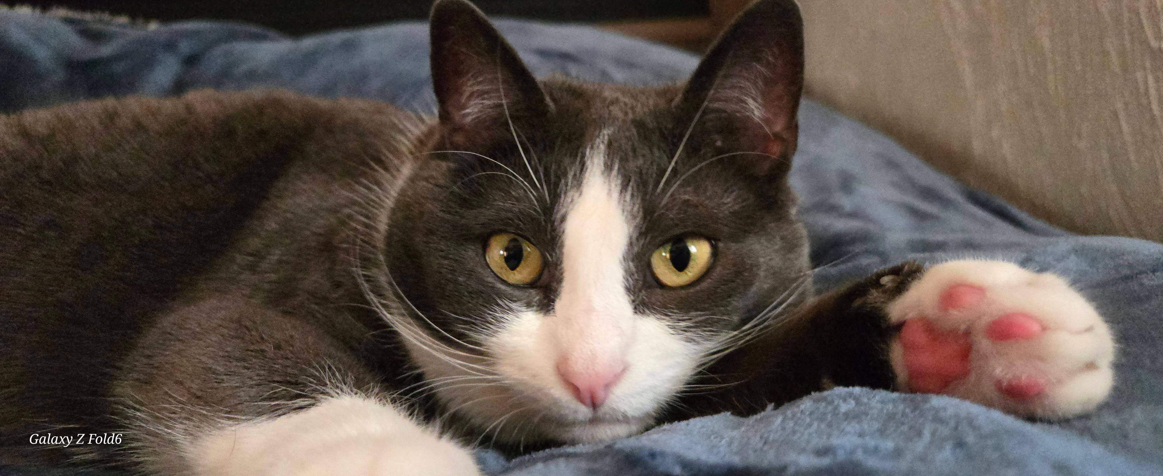 Kitku - Samsung Community