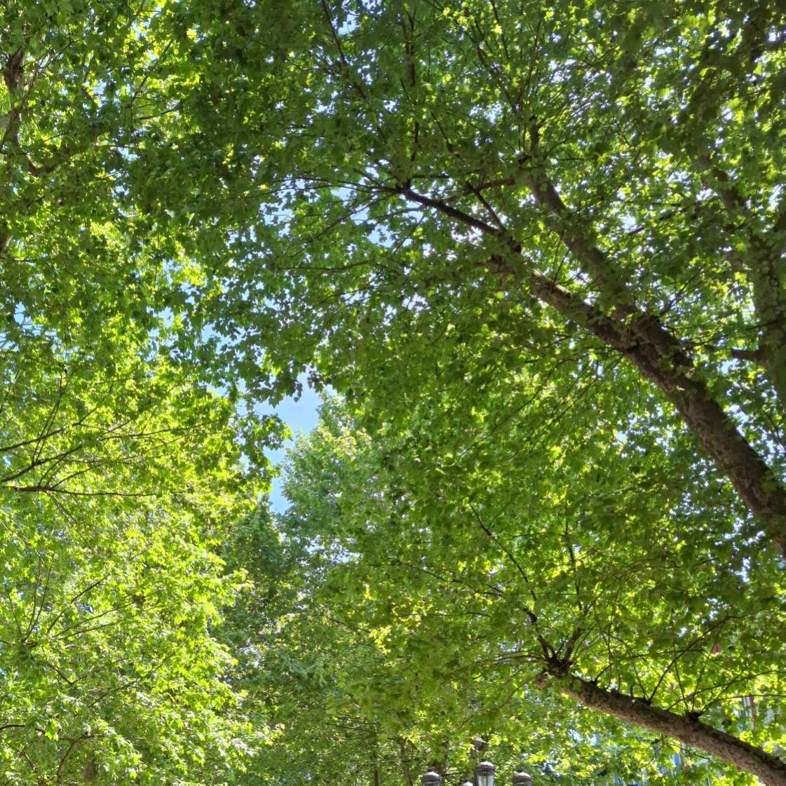 Cuando luce el sol en primavera... - Samsung Community