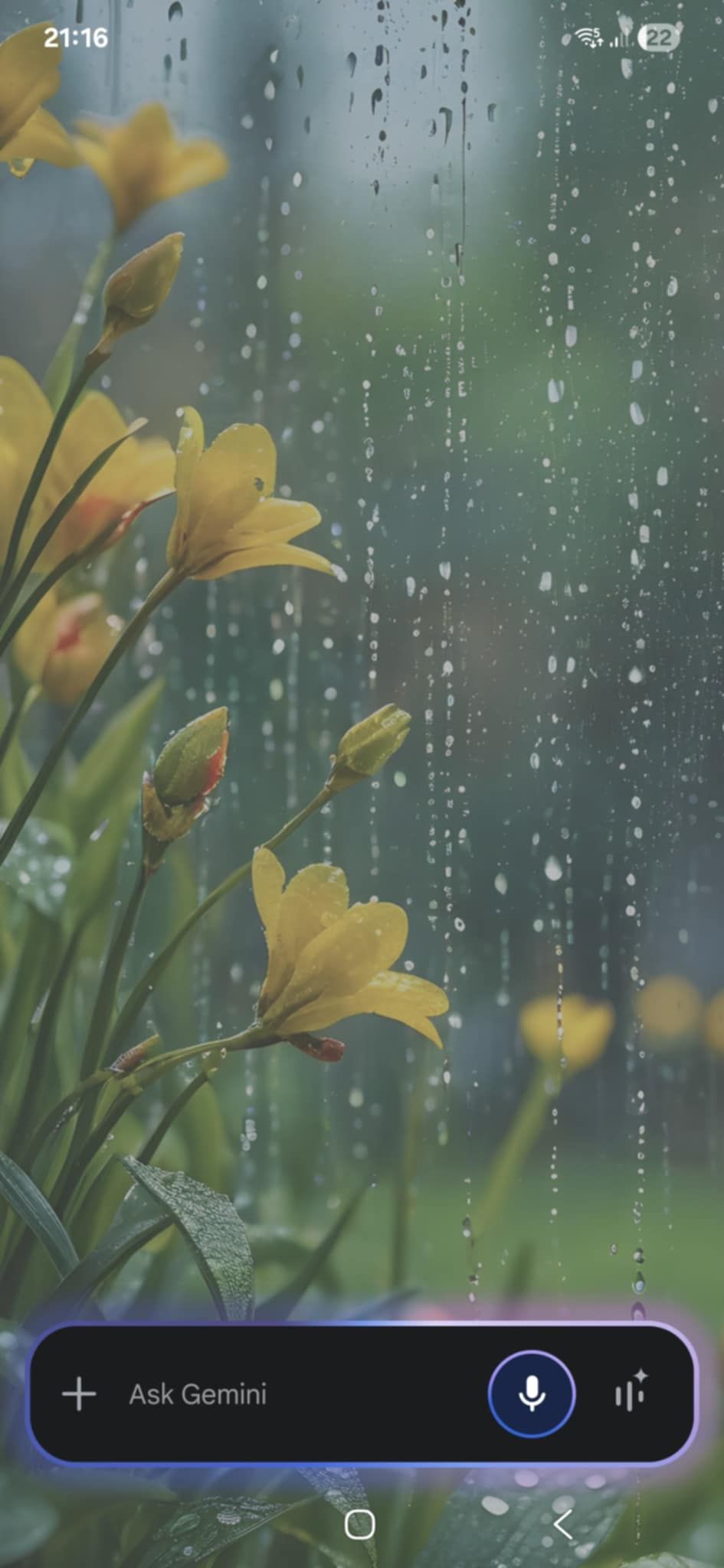 The latest software update (installed 5th May 2025) for my Samsung S24 ...