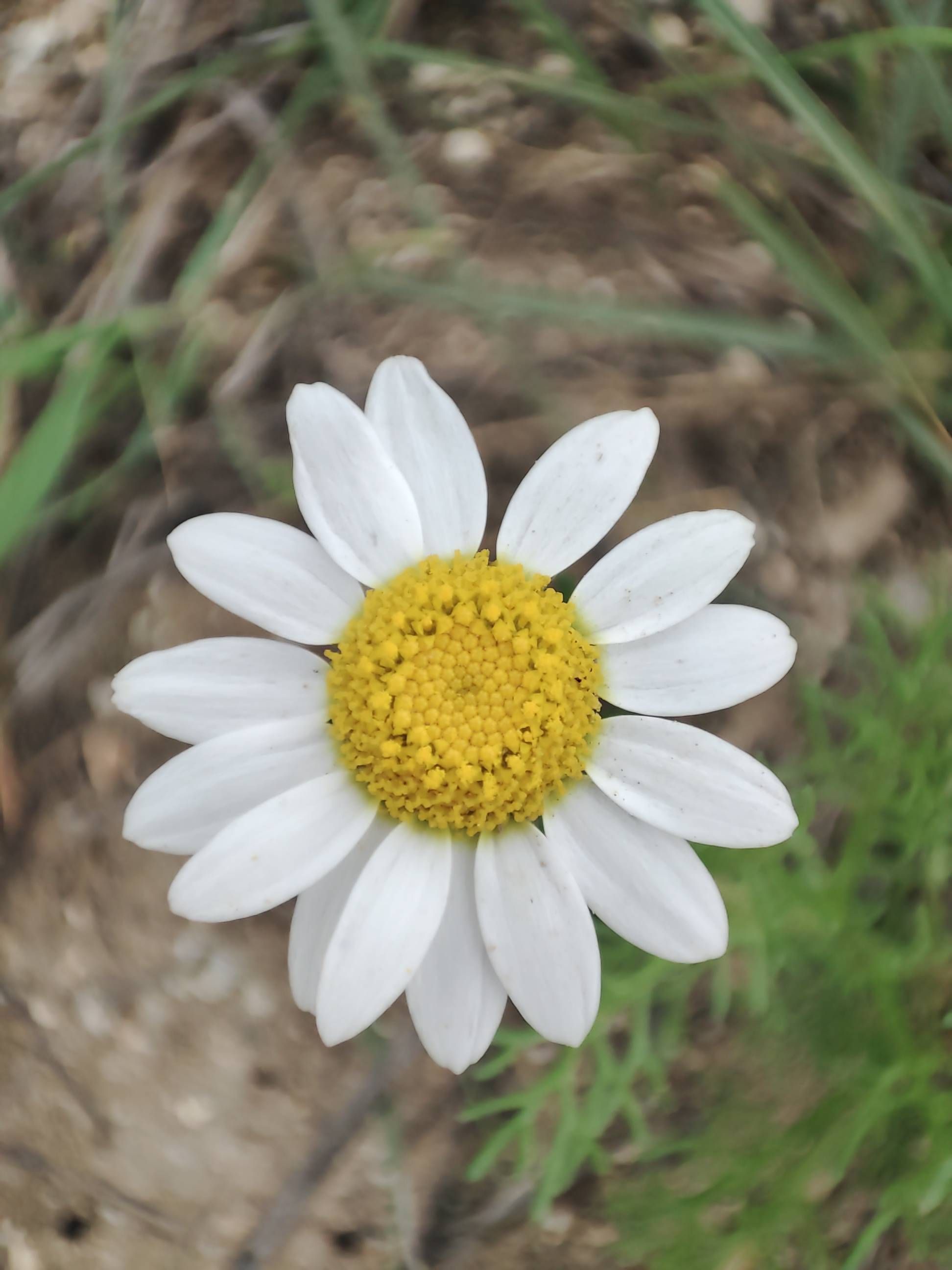 Macro - Samsung Community