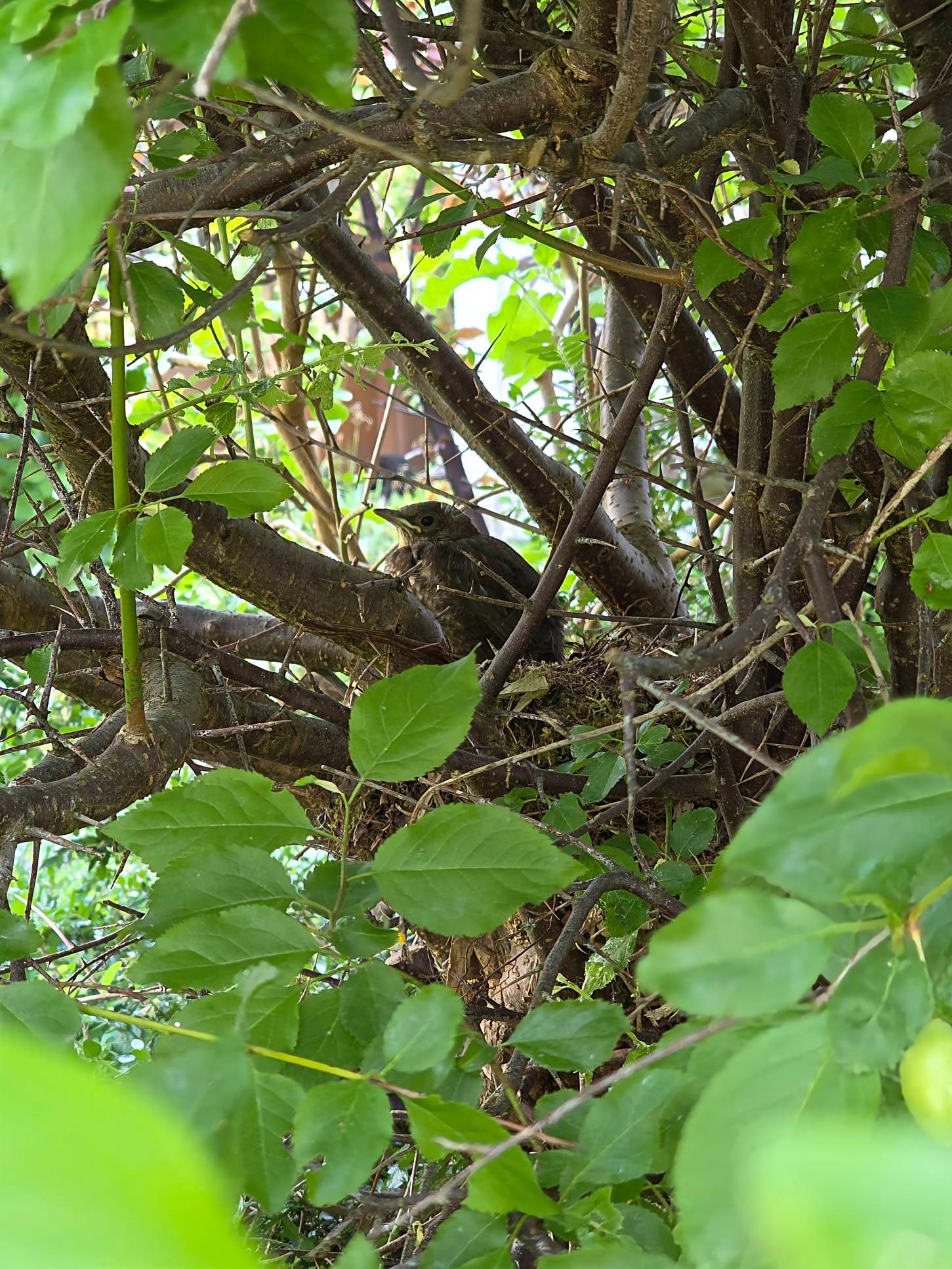 The last Picure - Samsung Community