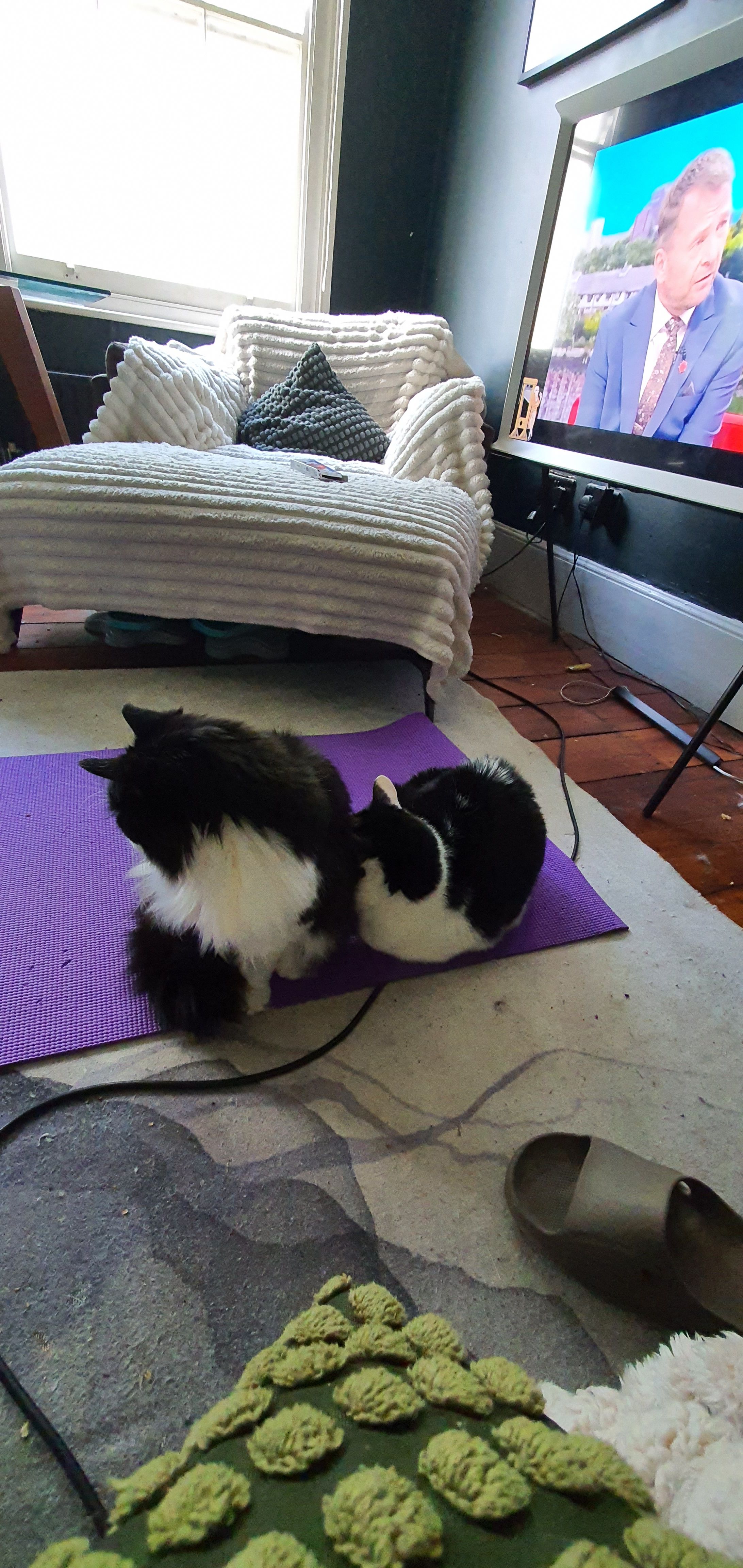 Why have a chair when the floor will do. - Samsung Community